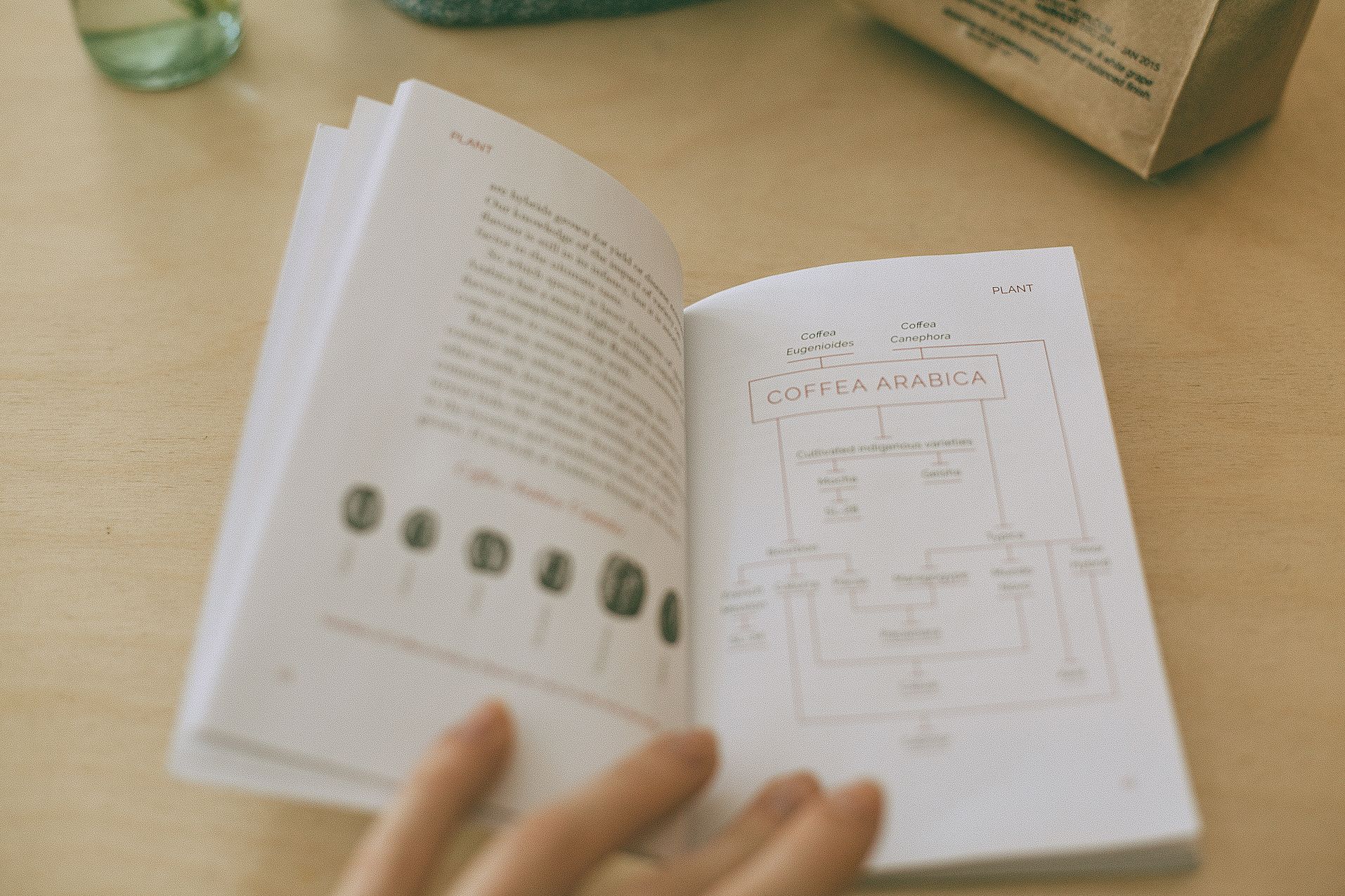 What is a Ponzi scheme? Types, signs, and how to avoid it