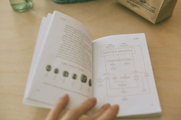 What is a Ponzi scheme? Types, signs, and how to avoid it