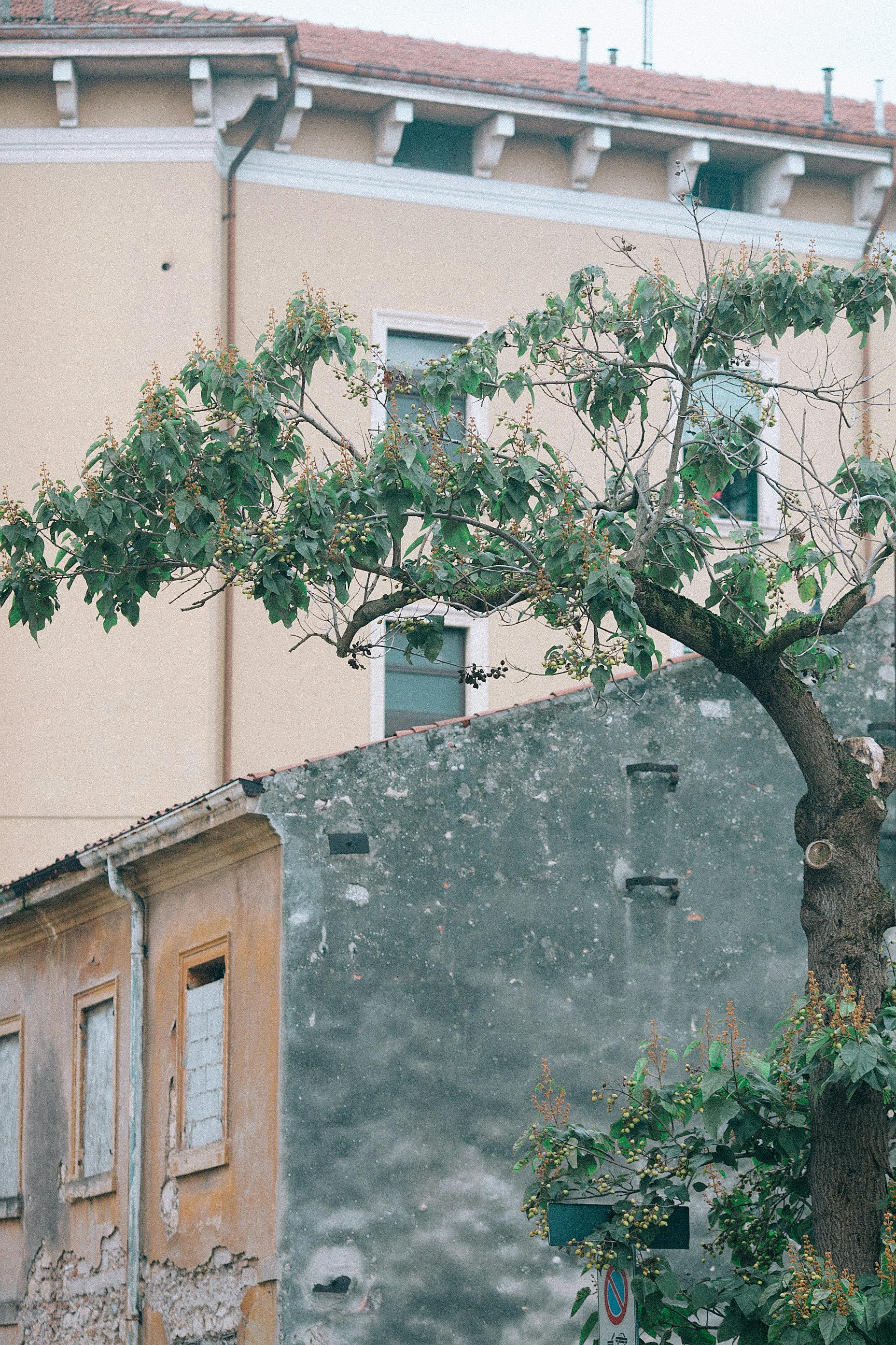 Shabby buildings in city street in daytime · Free Stock Photo
