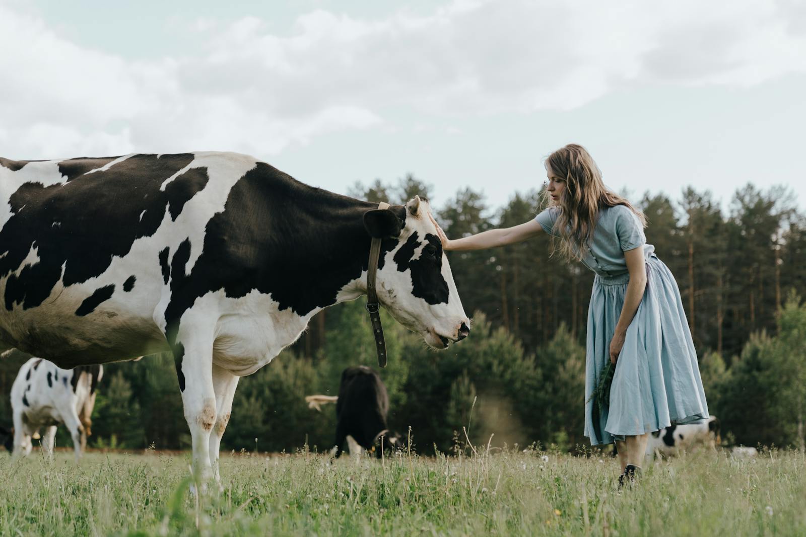 Cow Girl Photos, Download The BEST Free Cow Girl Stock Photos & HD Images