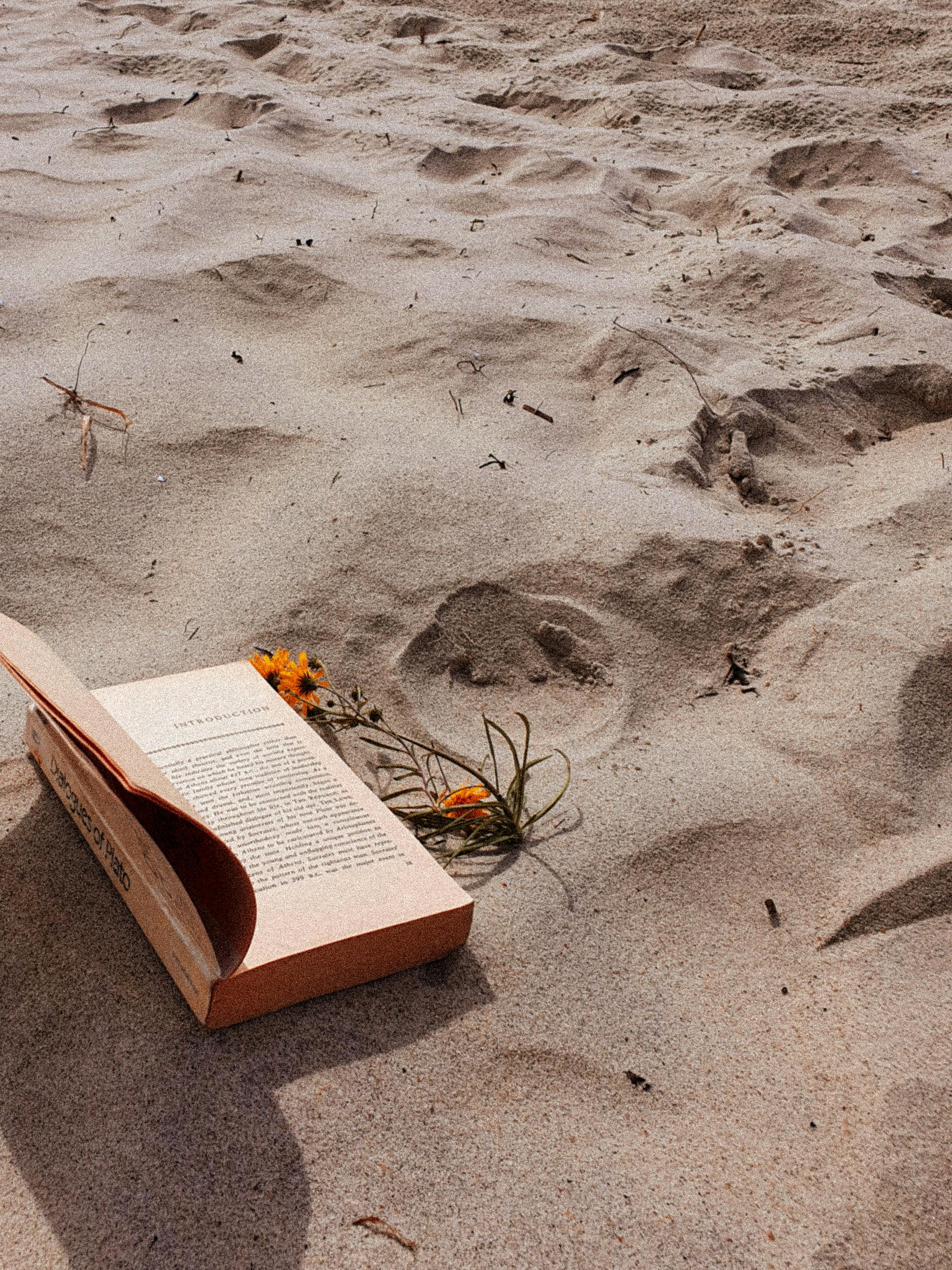 Close-up Photo of Book on Sand · Free Stock Photo