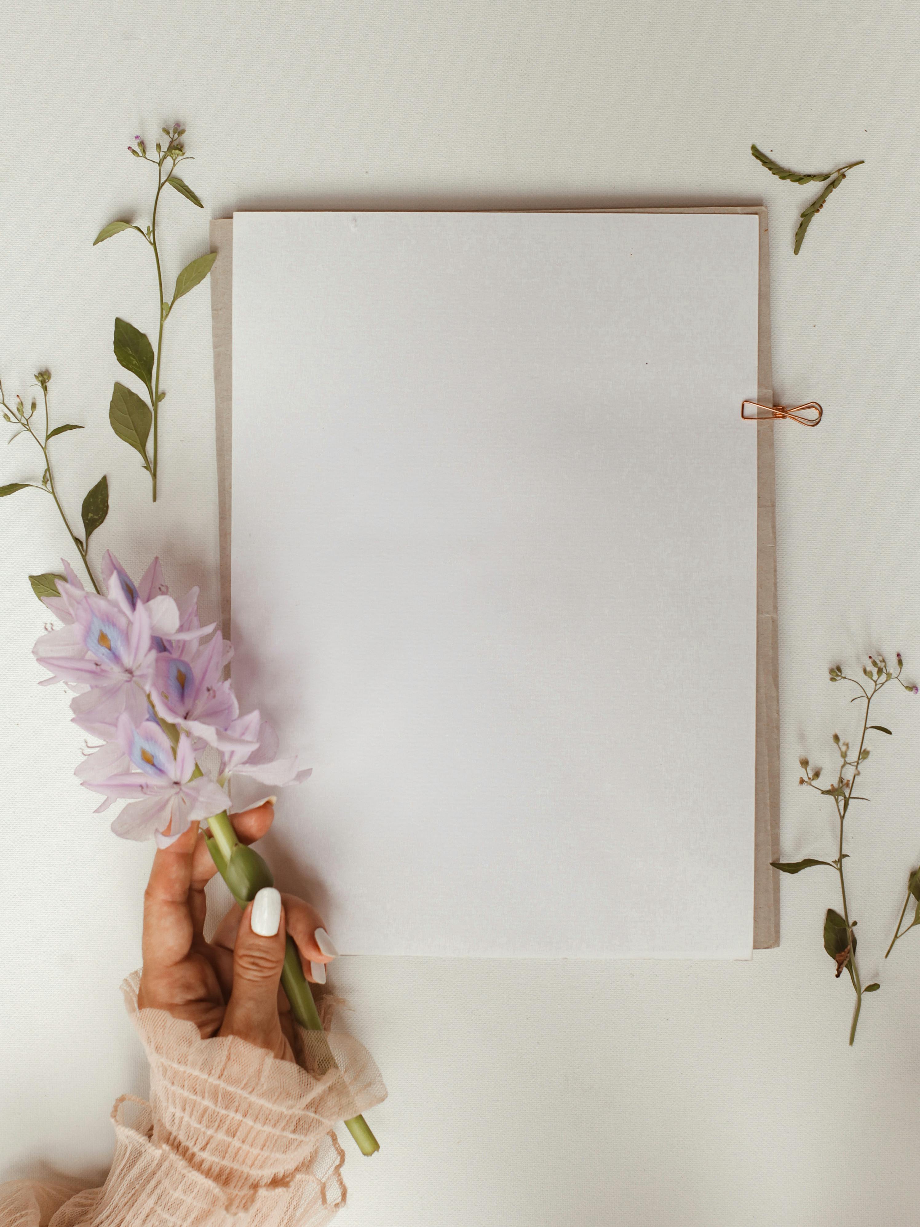 A Blank Bond Paper on a White Surface · Free Stock Photo