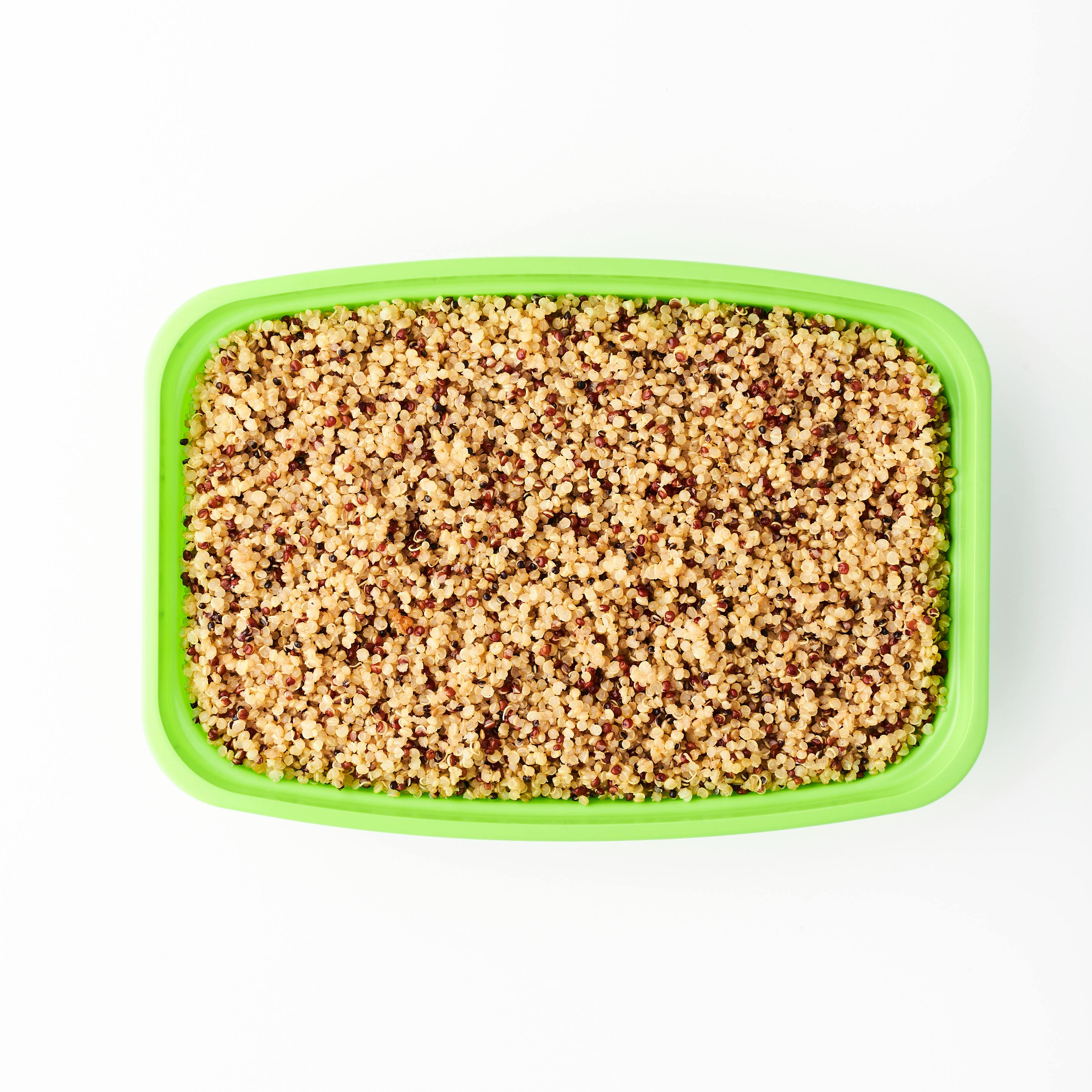 Justin Doherty - 写真