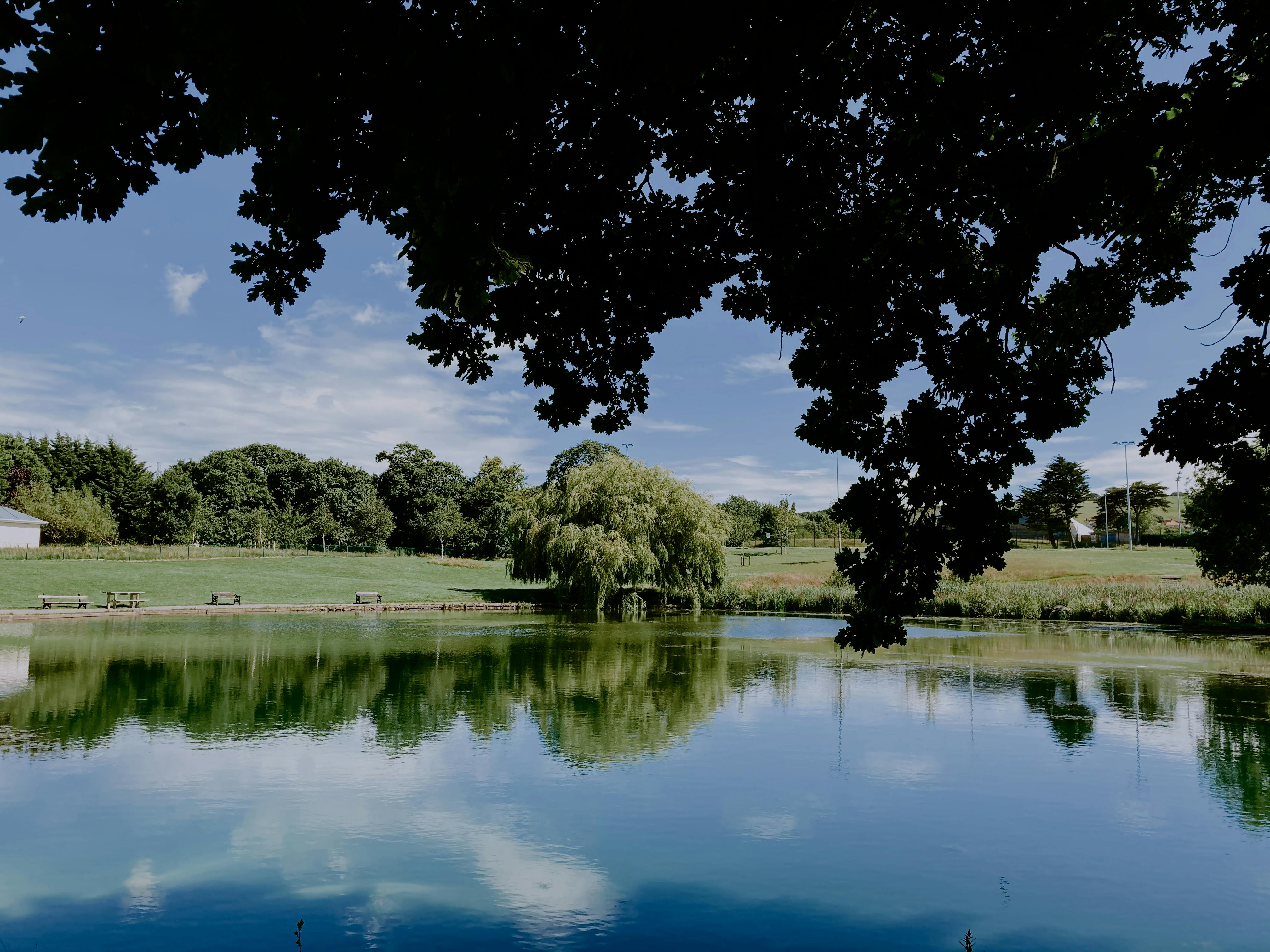 Beautiful lake surrounded by trees · Free Stock Photo