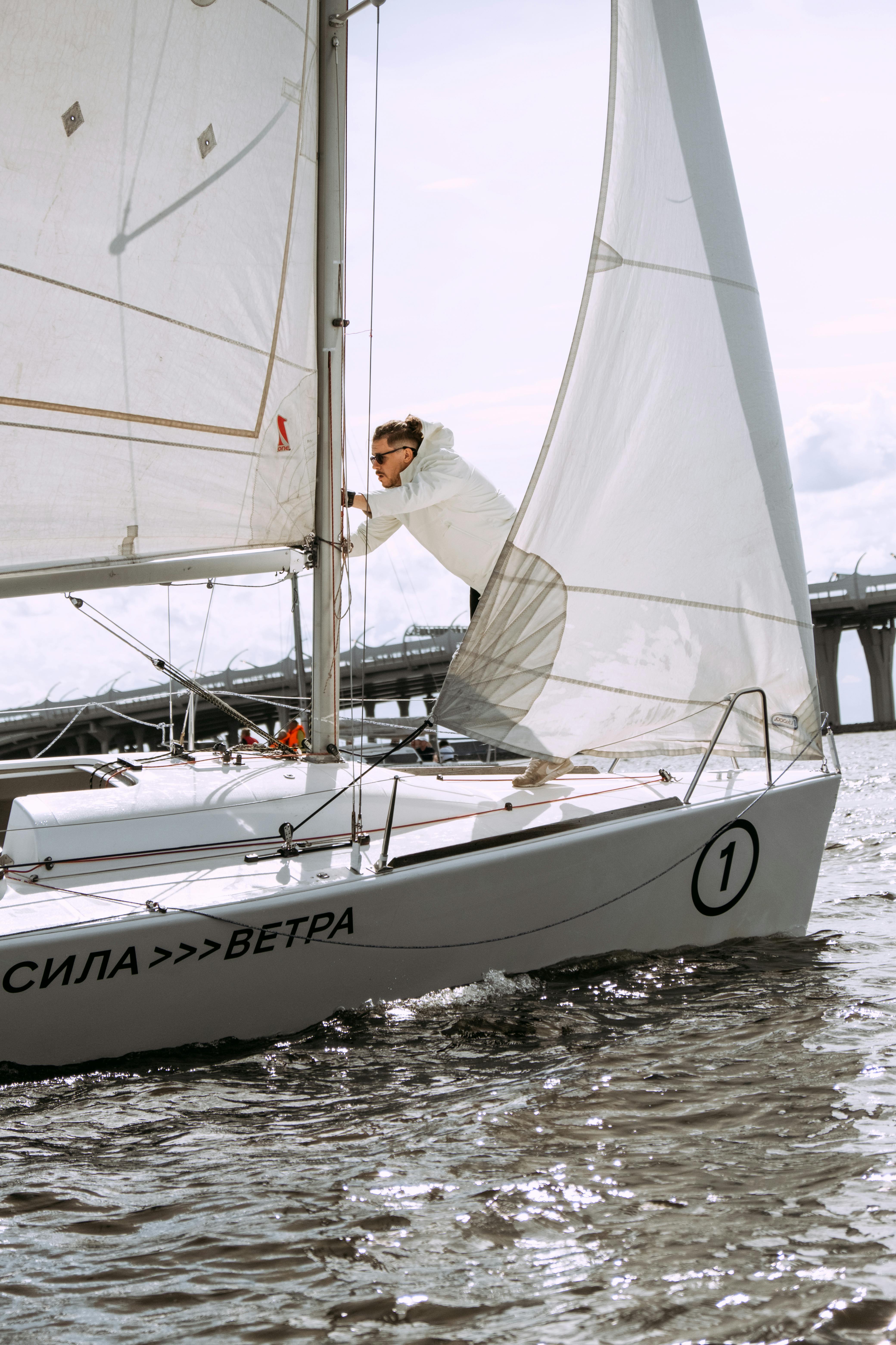 Sailboat floating in sea near humpback whale · Free Stock Photo