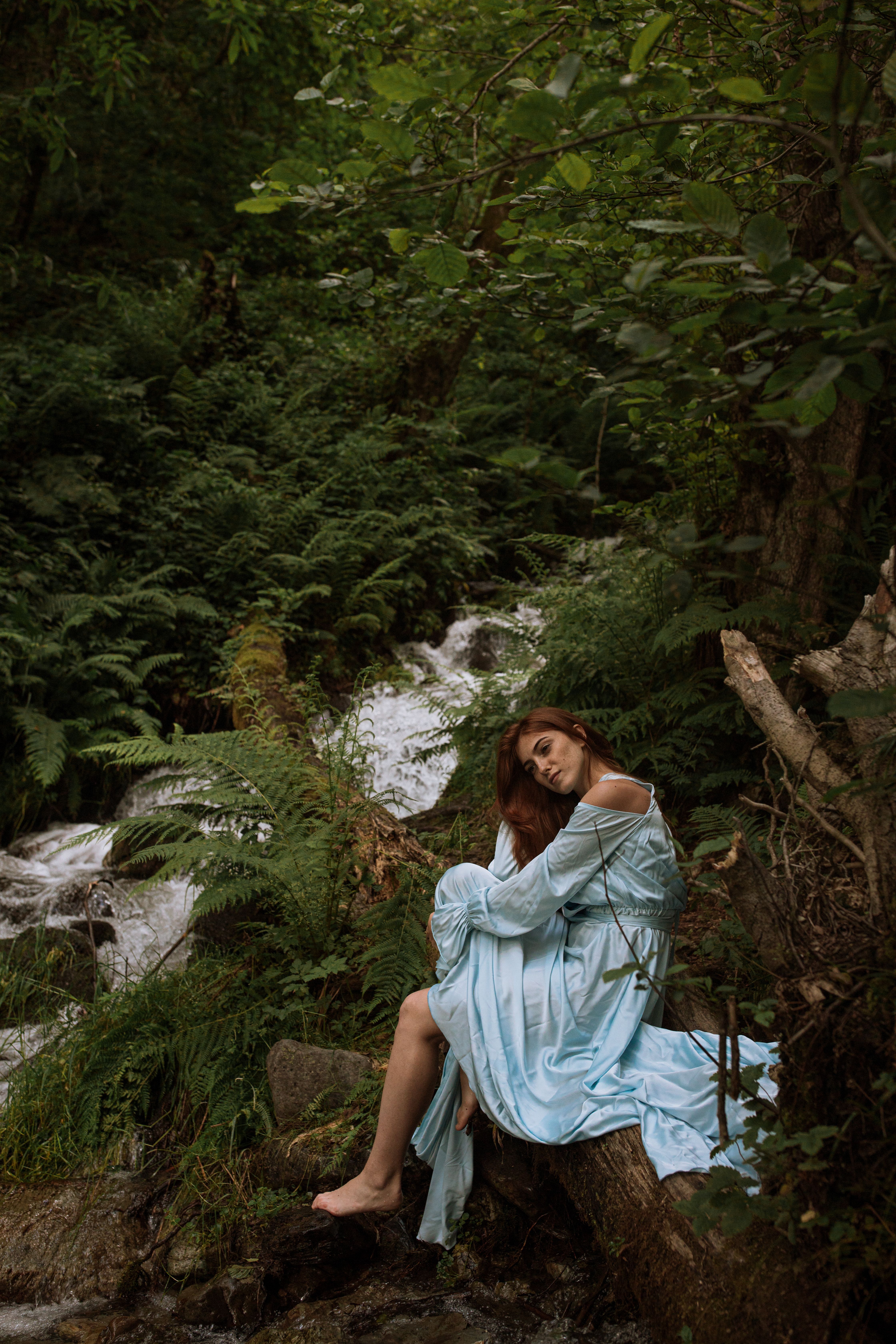 Woman in Blue Dress Sitting on a Tree in the Forest · Free Stock Photo