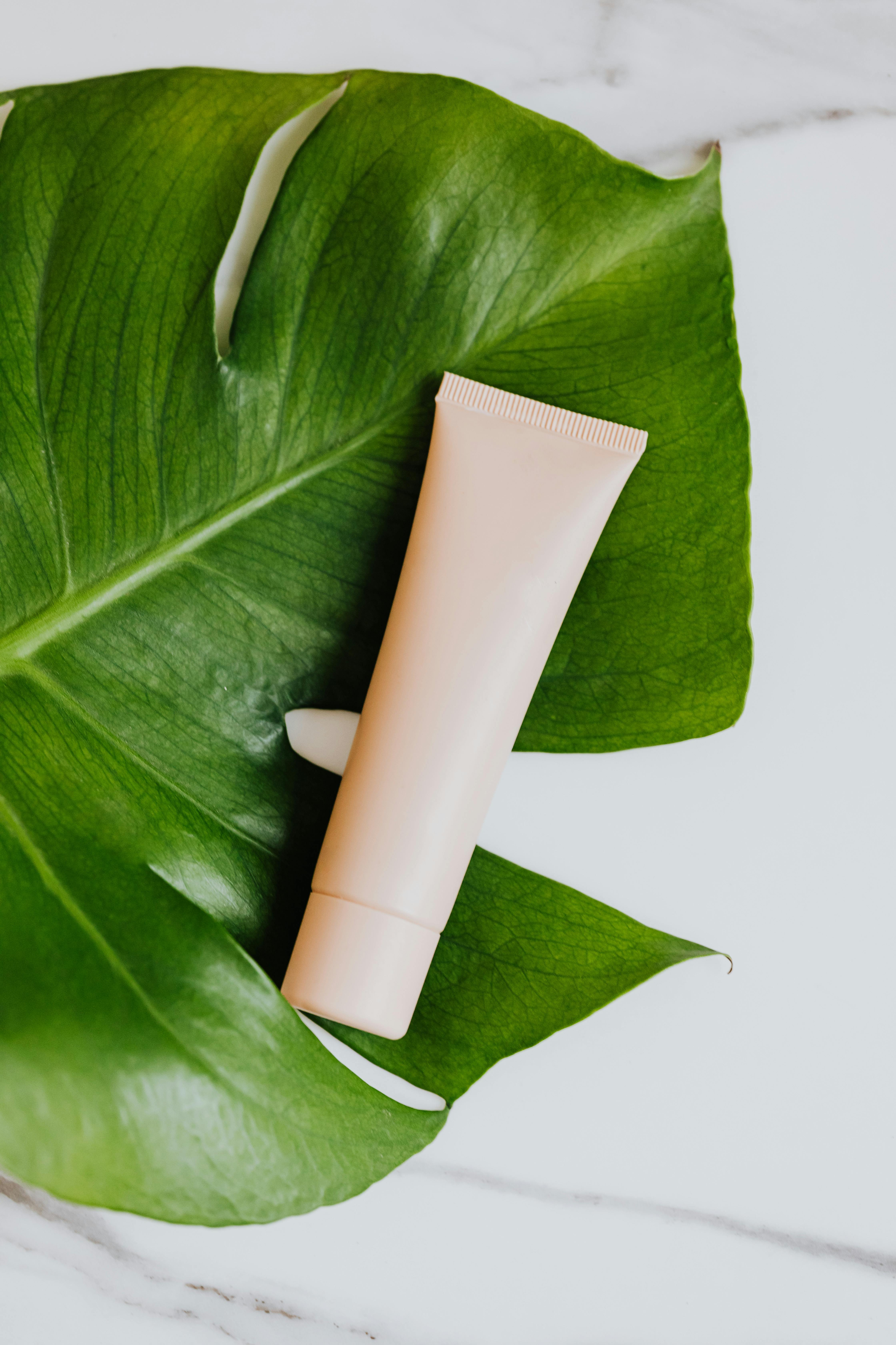 30,000+ Best Fresh Photos · 100% Free Download · Pexels Stock Photos