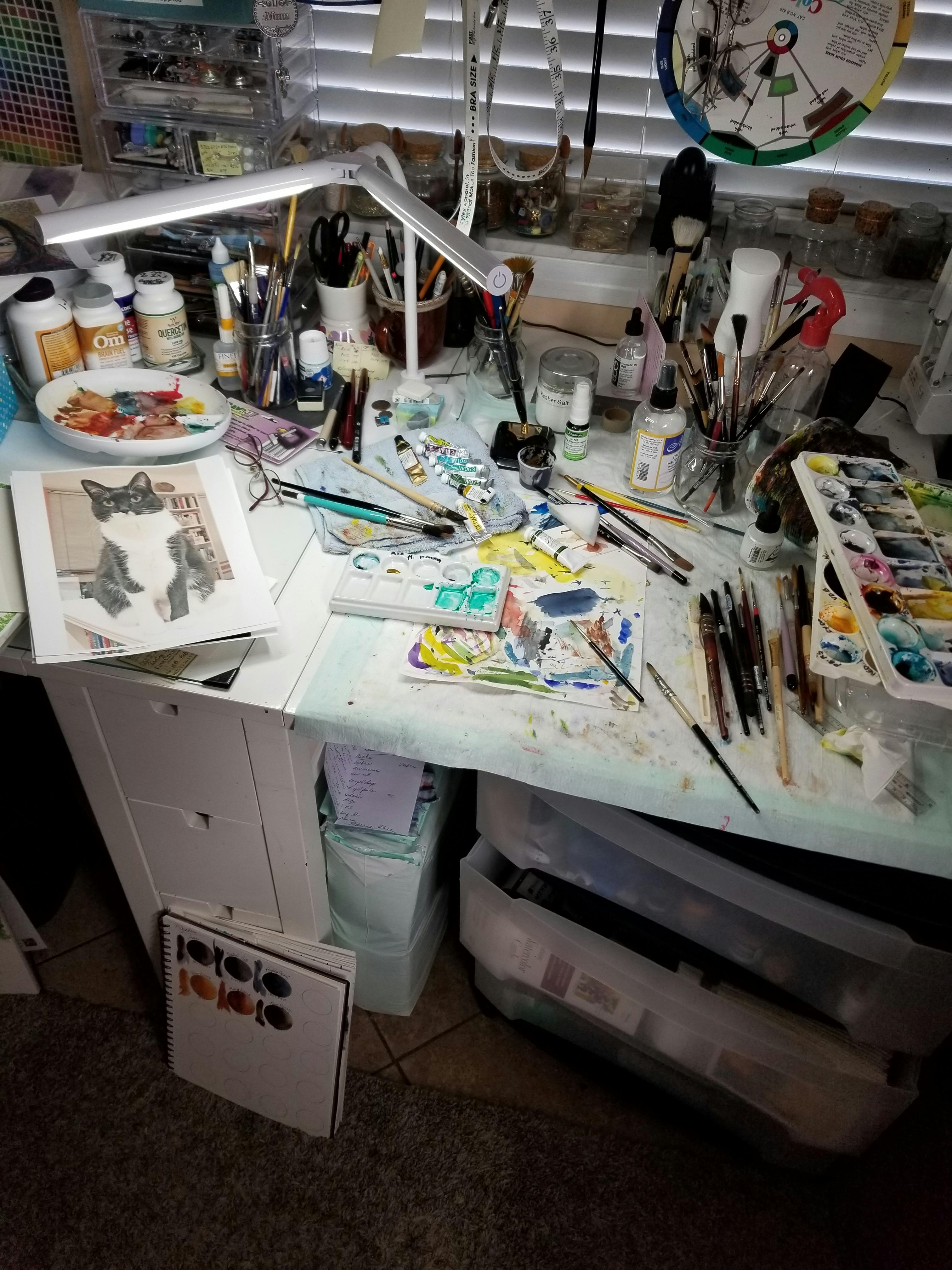 TLF 5 Photos & Videos Collected by Dianne Mayne