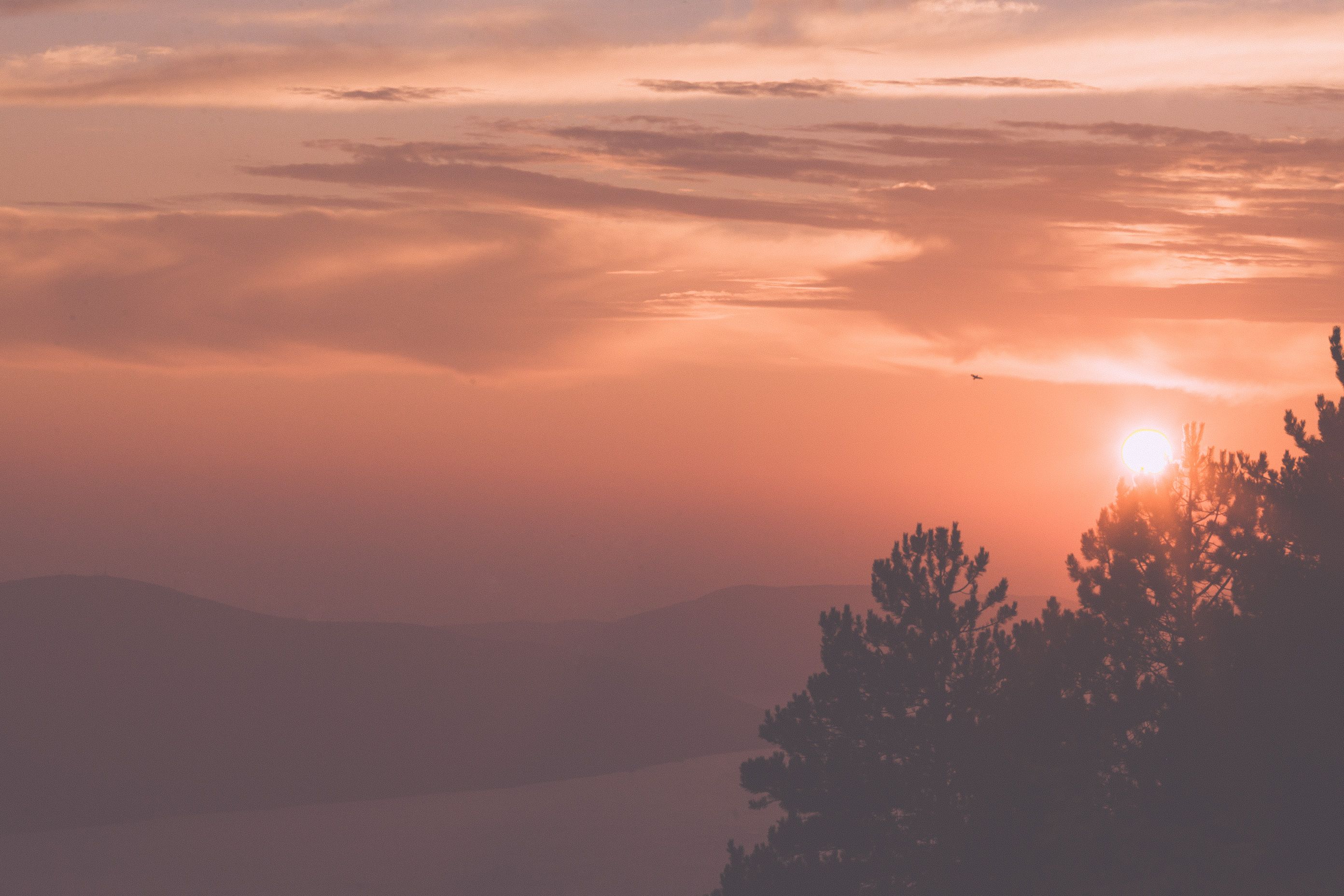 Photo of Person Standing Across the Mountain · Free Stock Photo