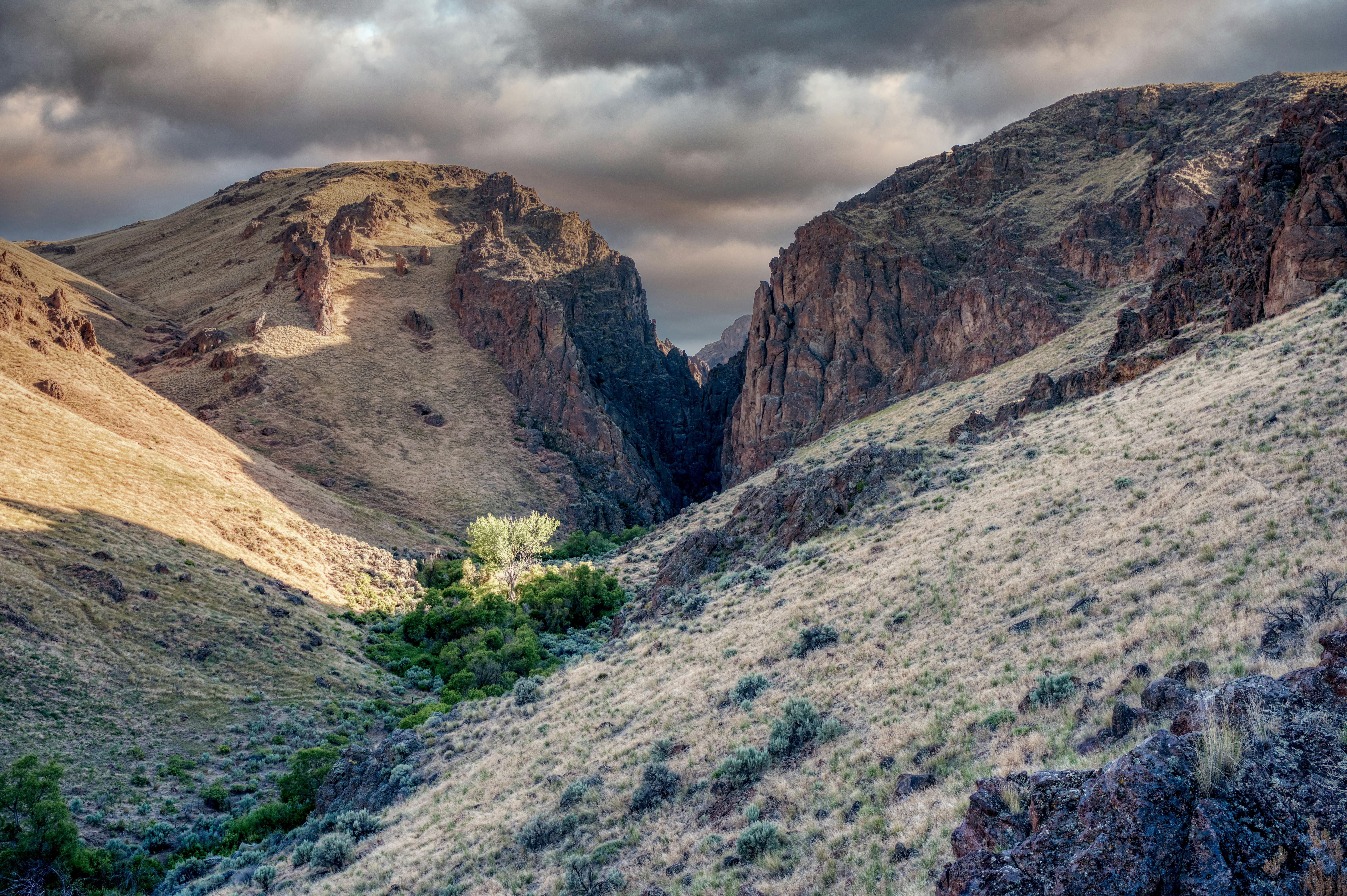 Rough mountains with grass under cloudy sky at sunset · Free Stock Photo