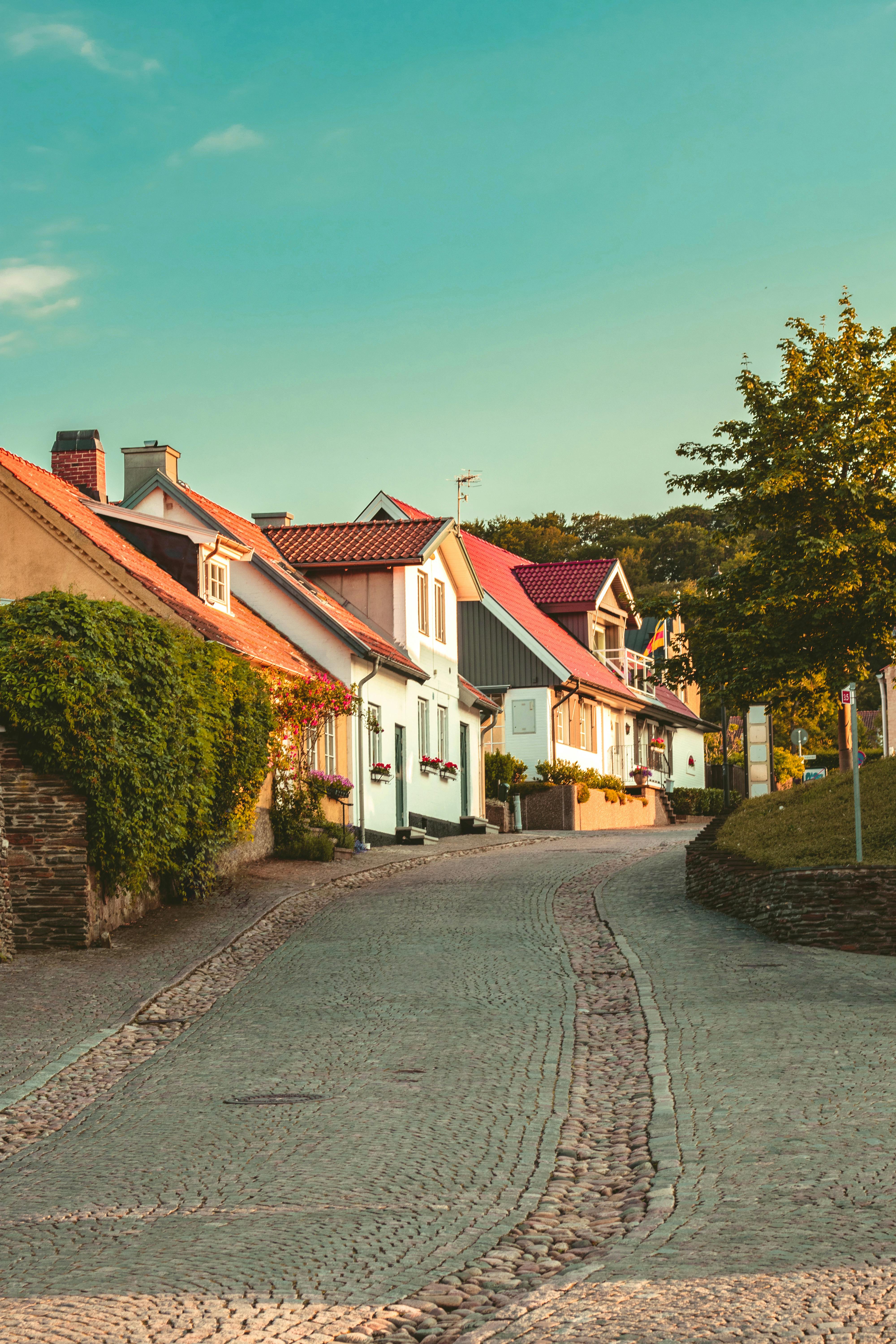 Houses Along Paved Road · Free Stock Photo