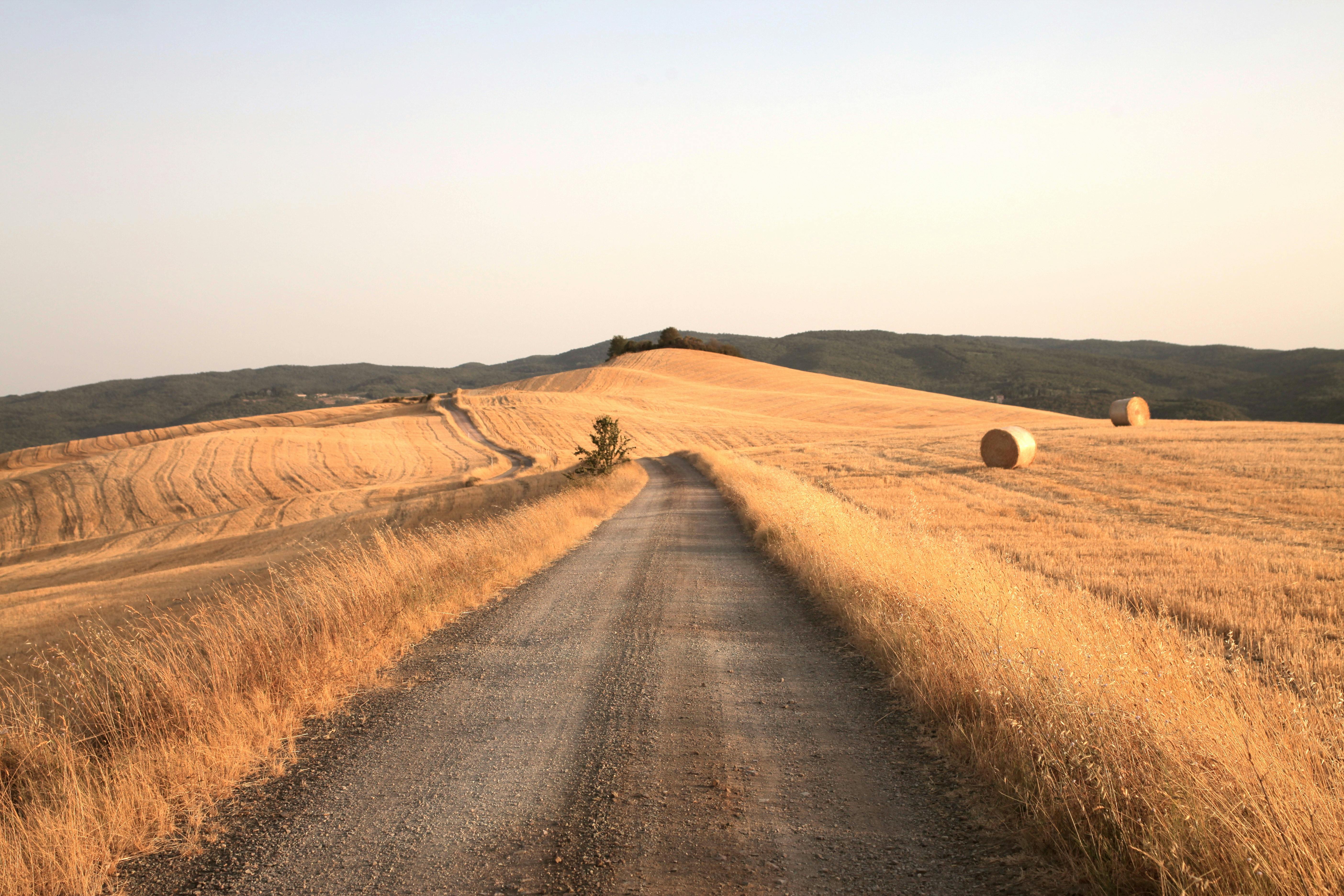 A Empty Path Road in Brown Hay Field · Free Stock Photo