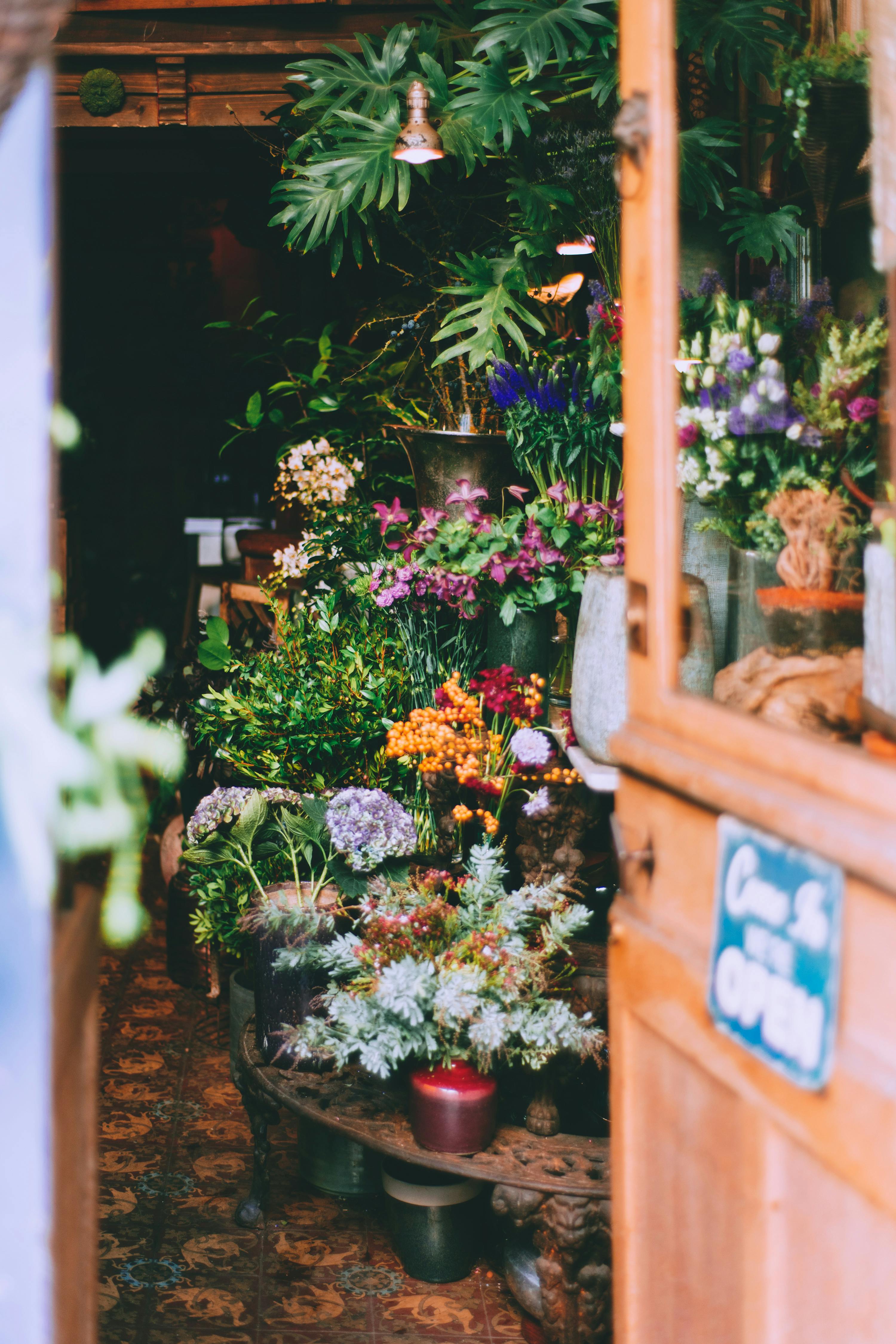 Selective Focus Photography of Flower Shop · Free Stock Photo