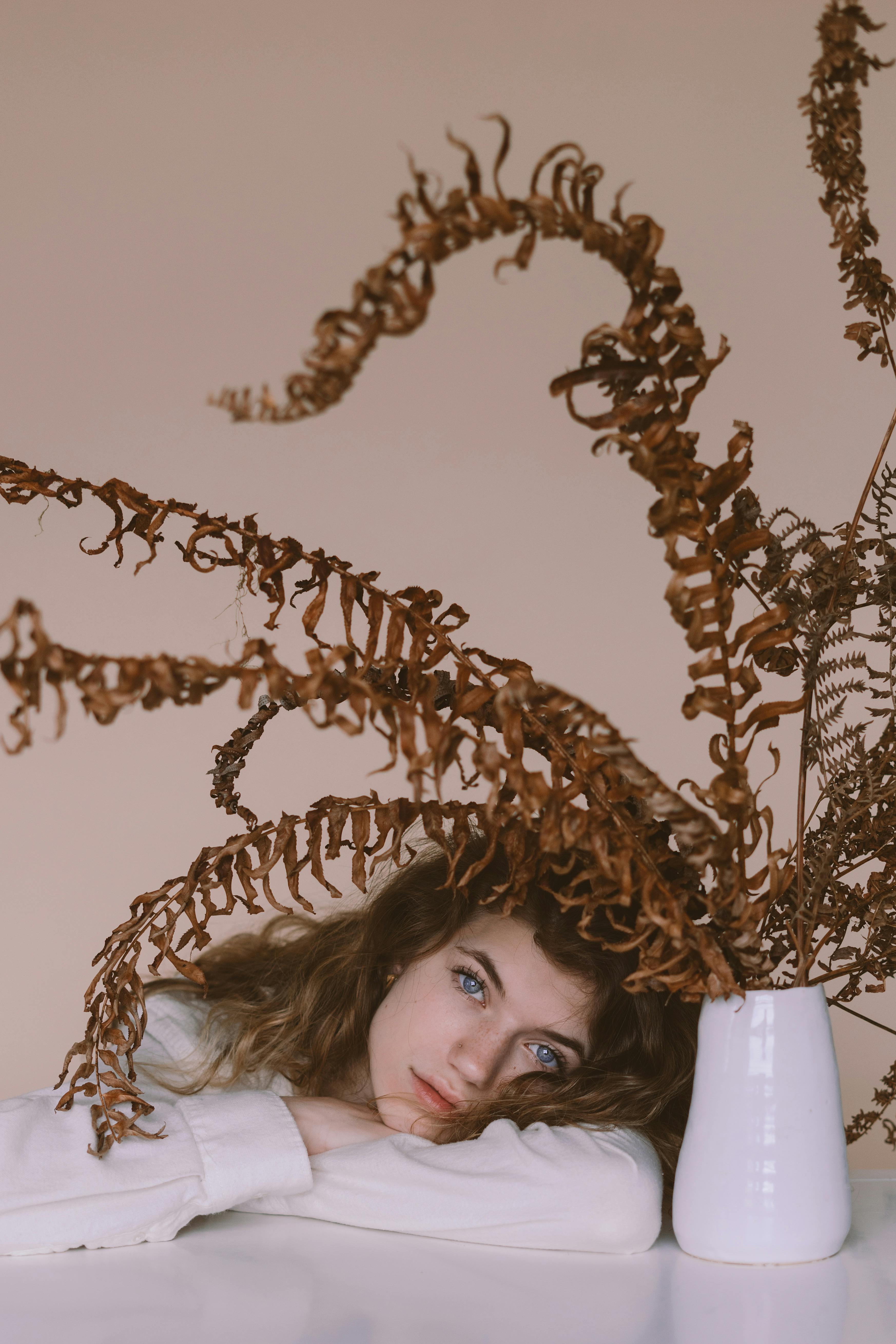 Curly Fern Photos, Download The BEST Free Curly Fern Stock Photos & HD ...