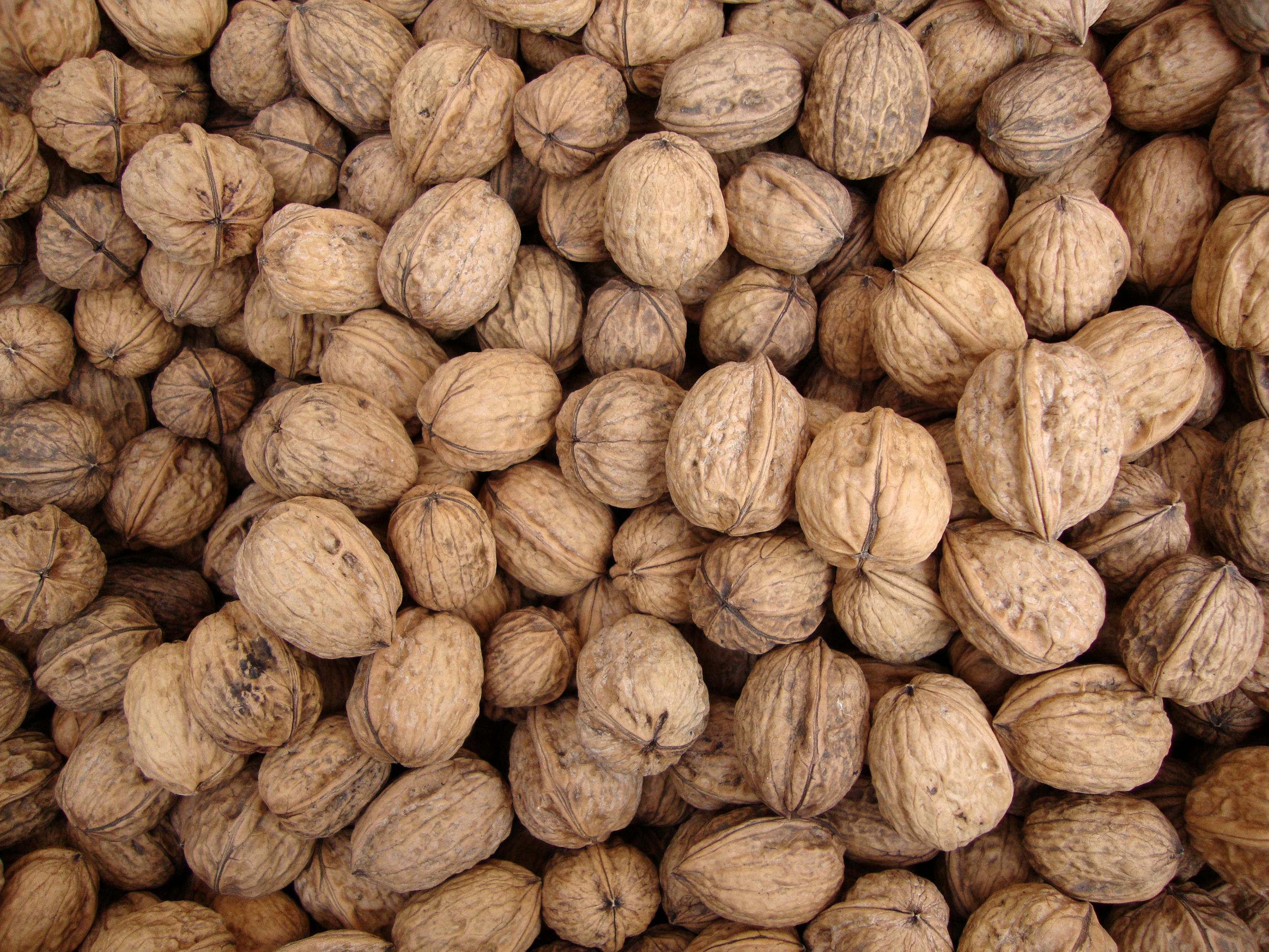 Pile of Raw Walnuts · Free Stock Photo