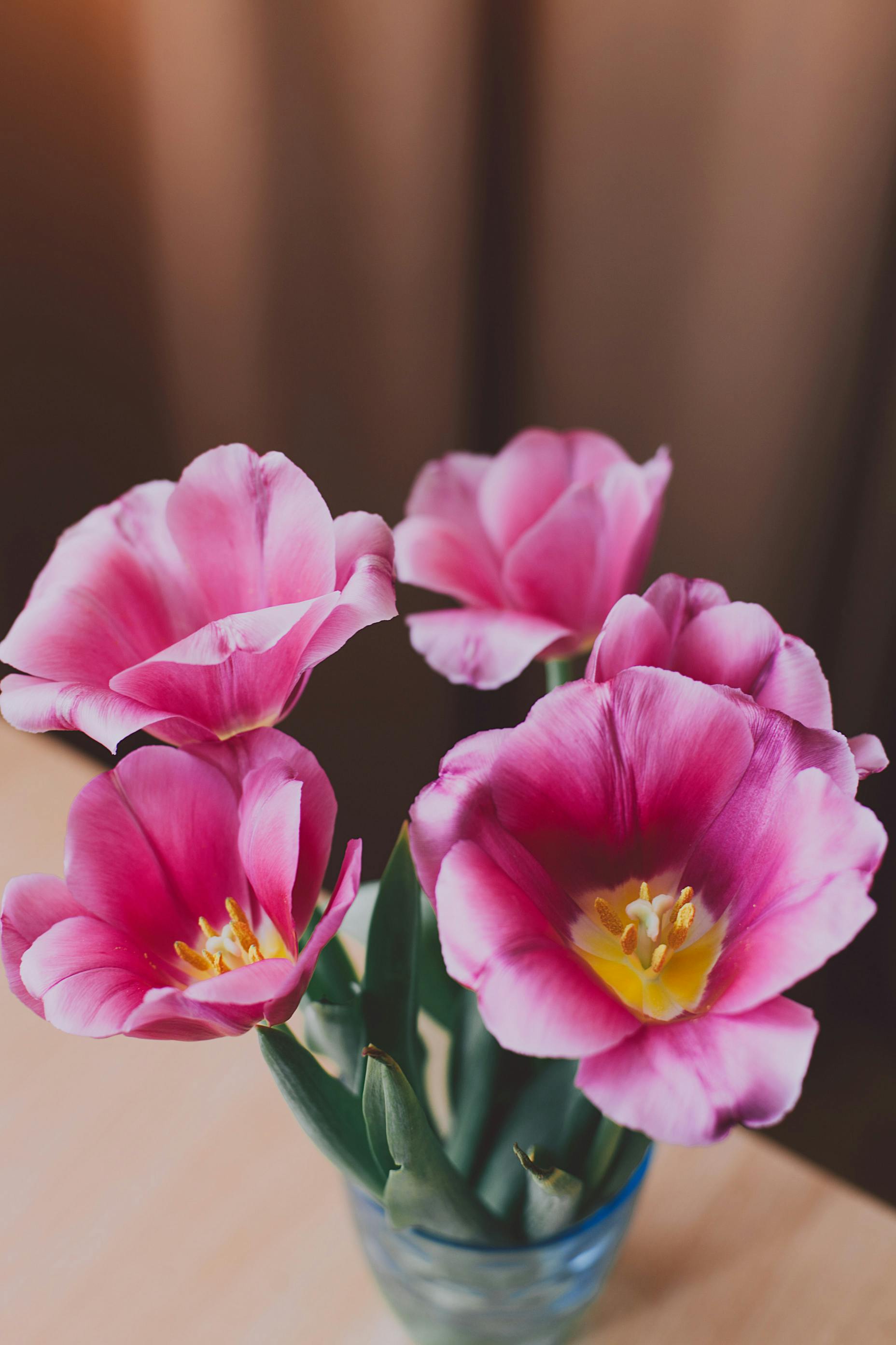 Vase with bright blooming flowers · Free Stock Photo