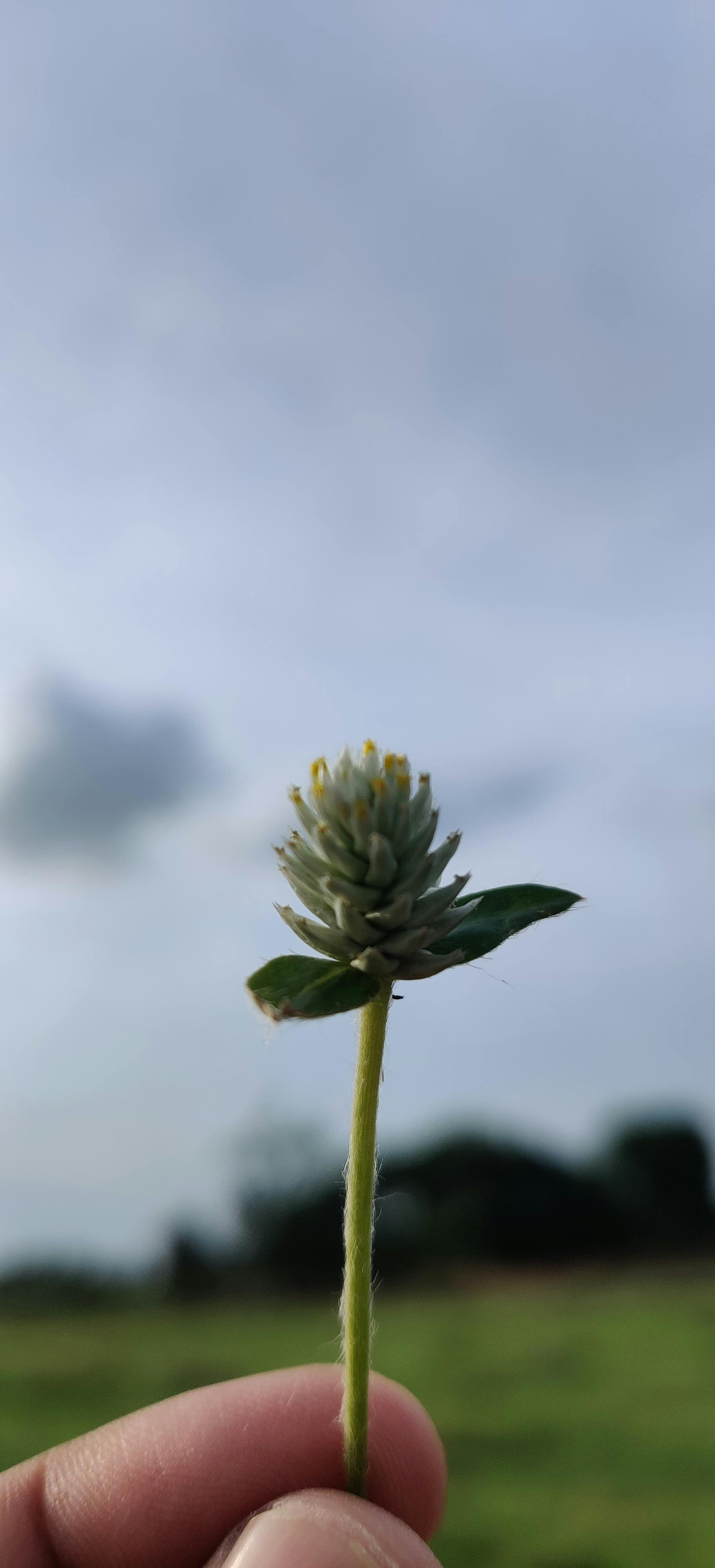 Er Prashant Rawat - 사진