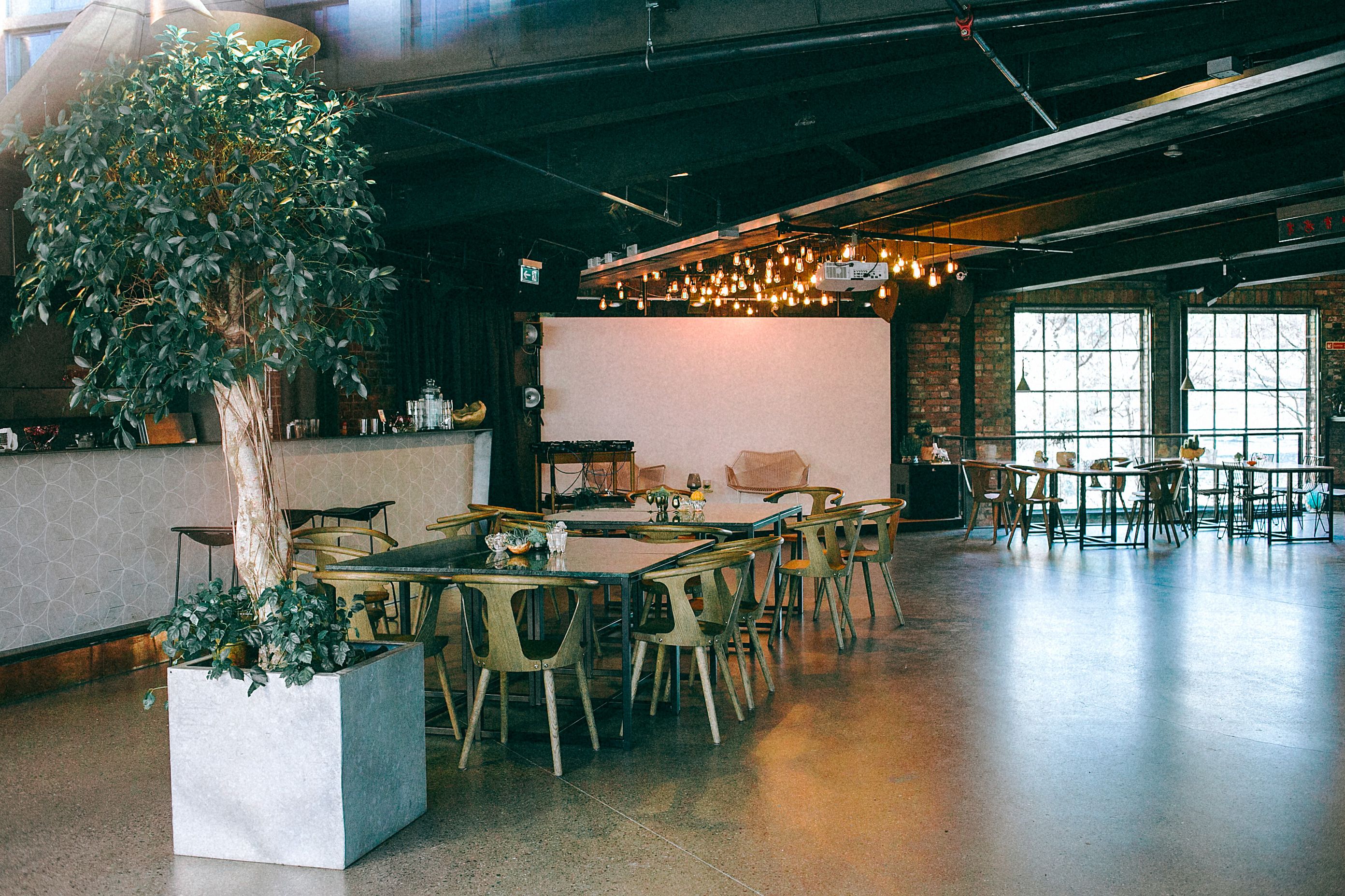 Cafe interior with wooden furniture and shiny lamps · Free Stock Photo