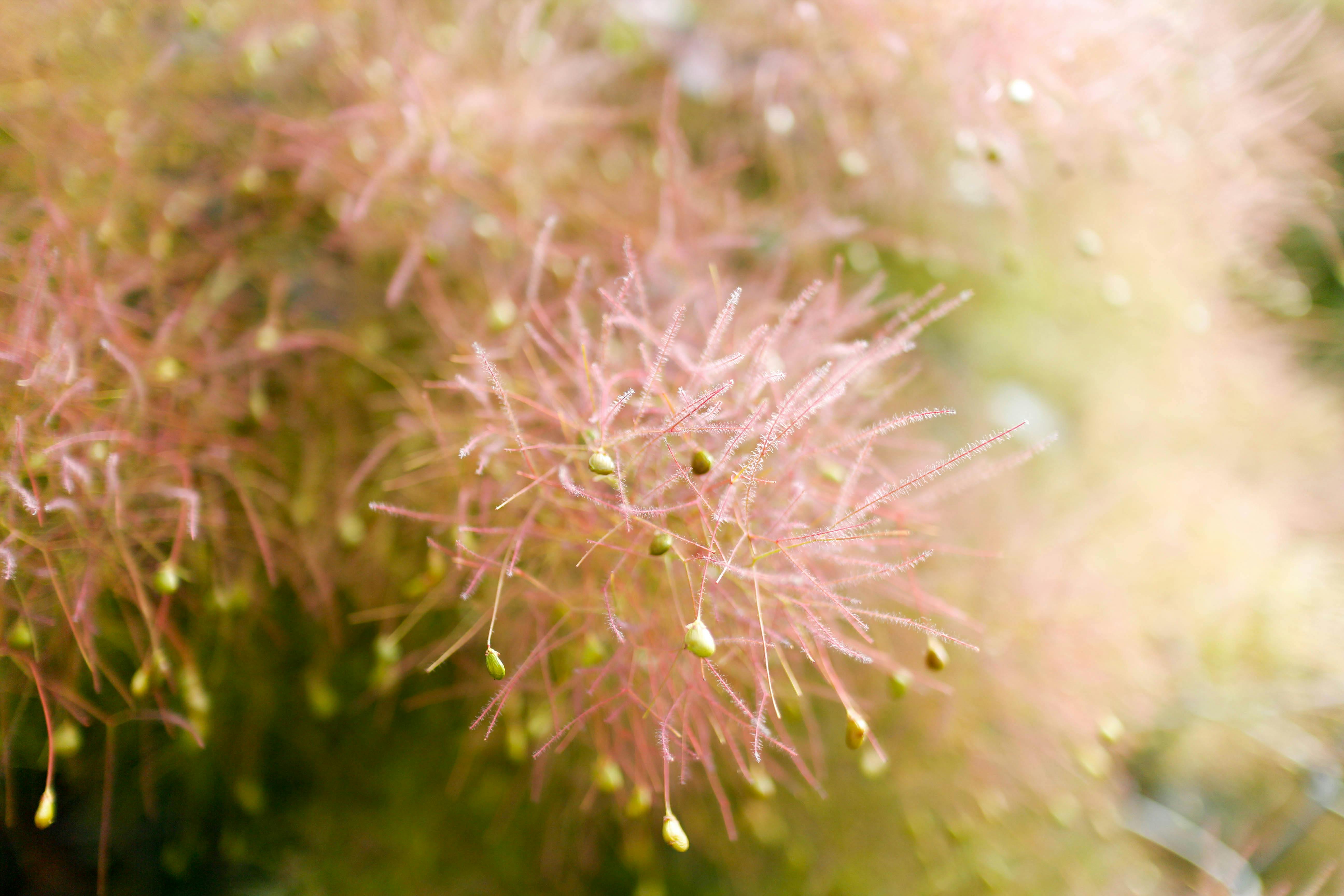 Sutee Pheera - 摄影