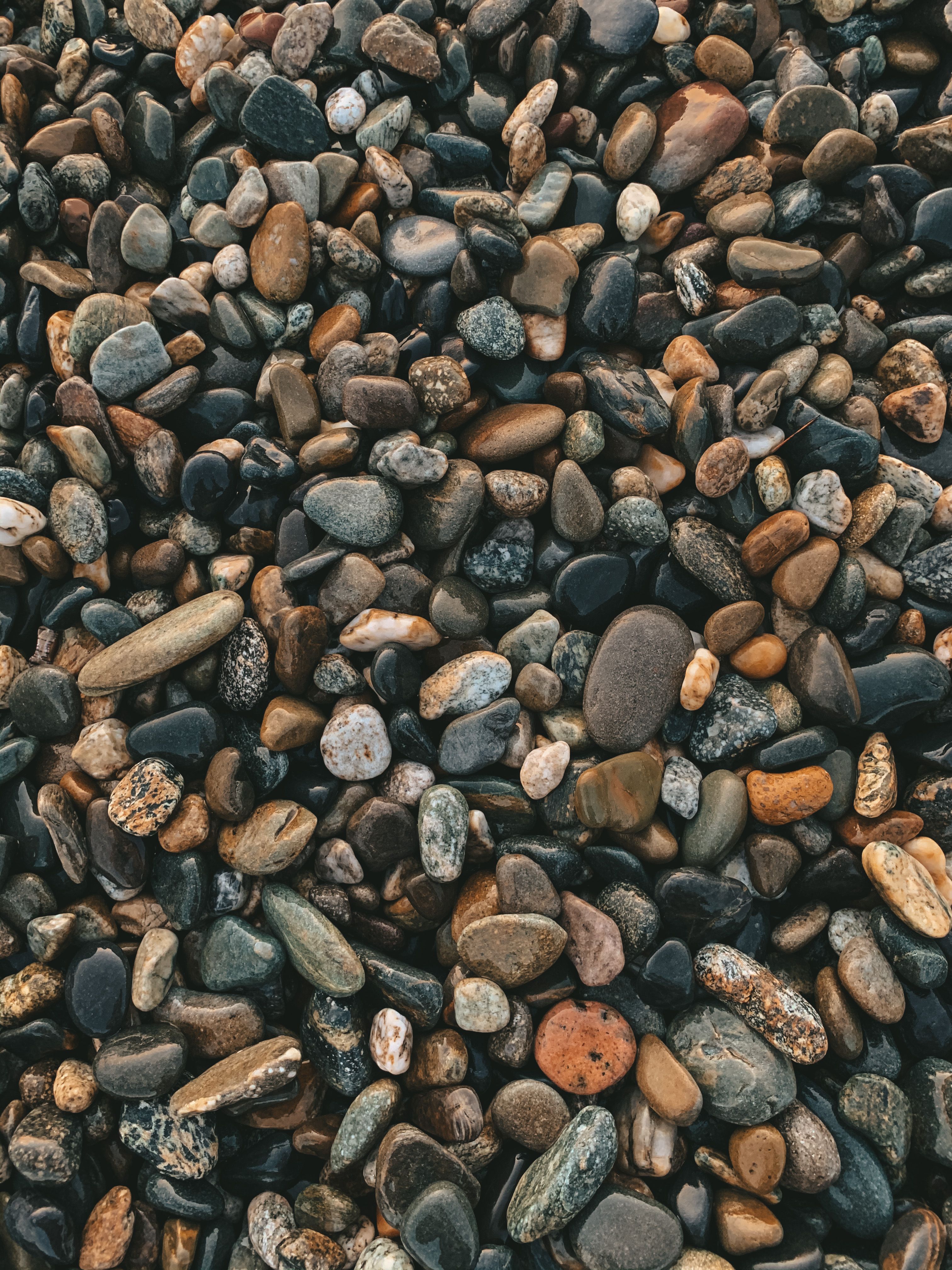 Brown and Black Wet Stones · Free Stock Photo