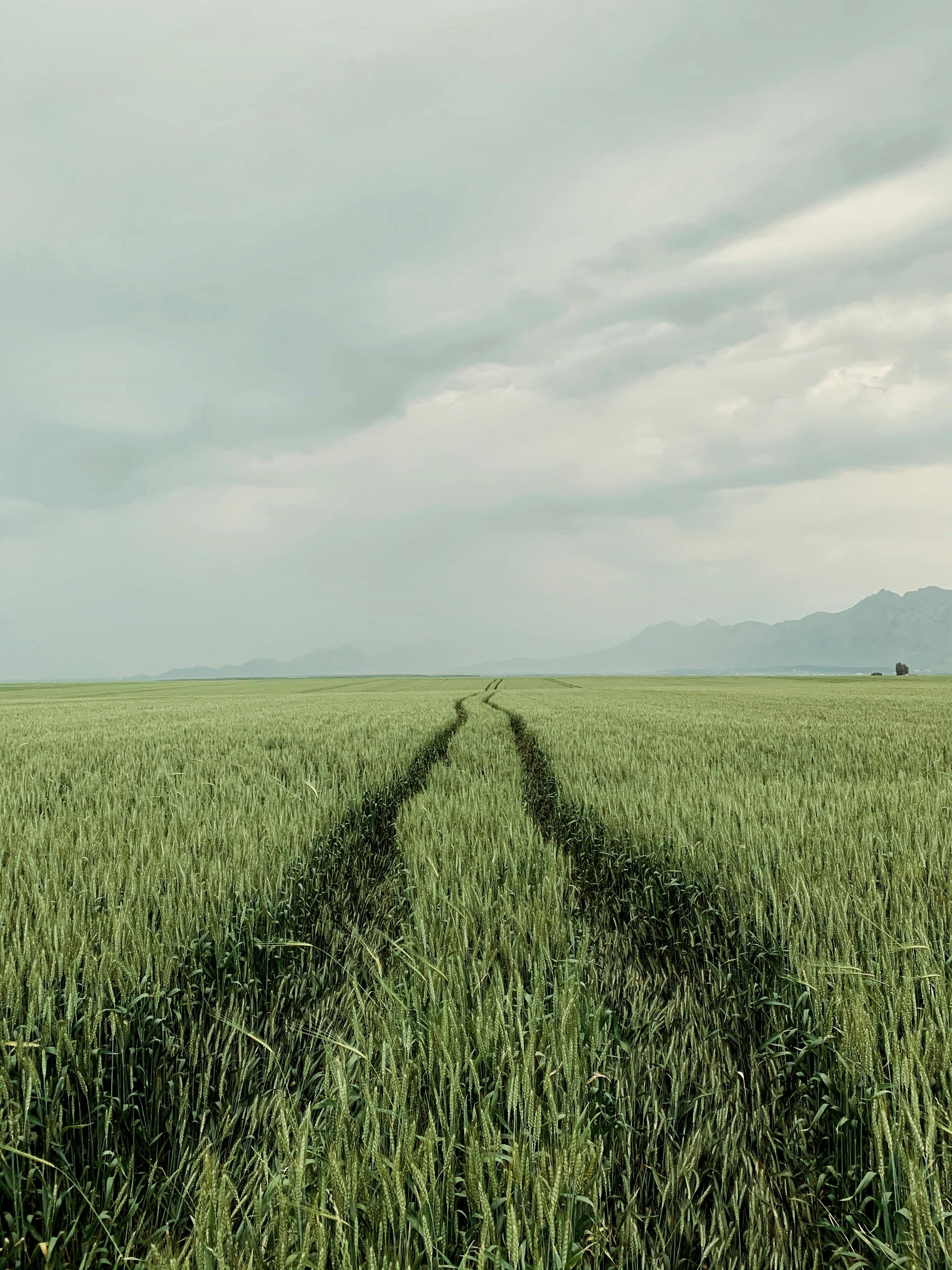 Long Way Photos, Download The BEST Free Long Way Stock Photos & HD Images