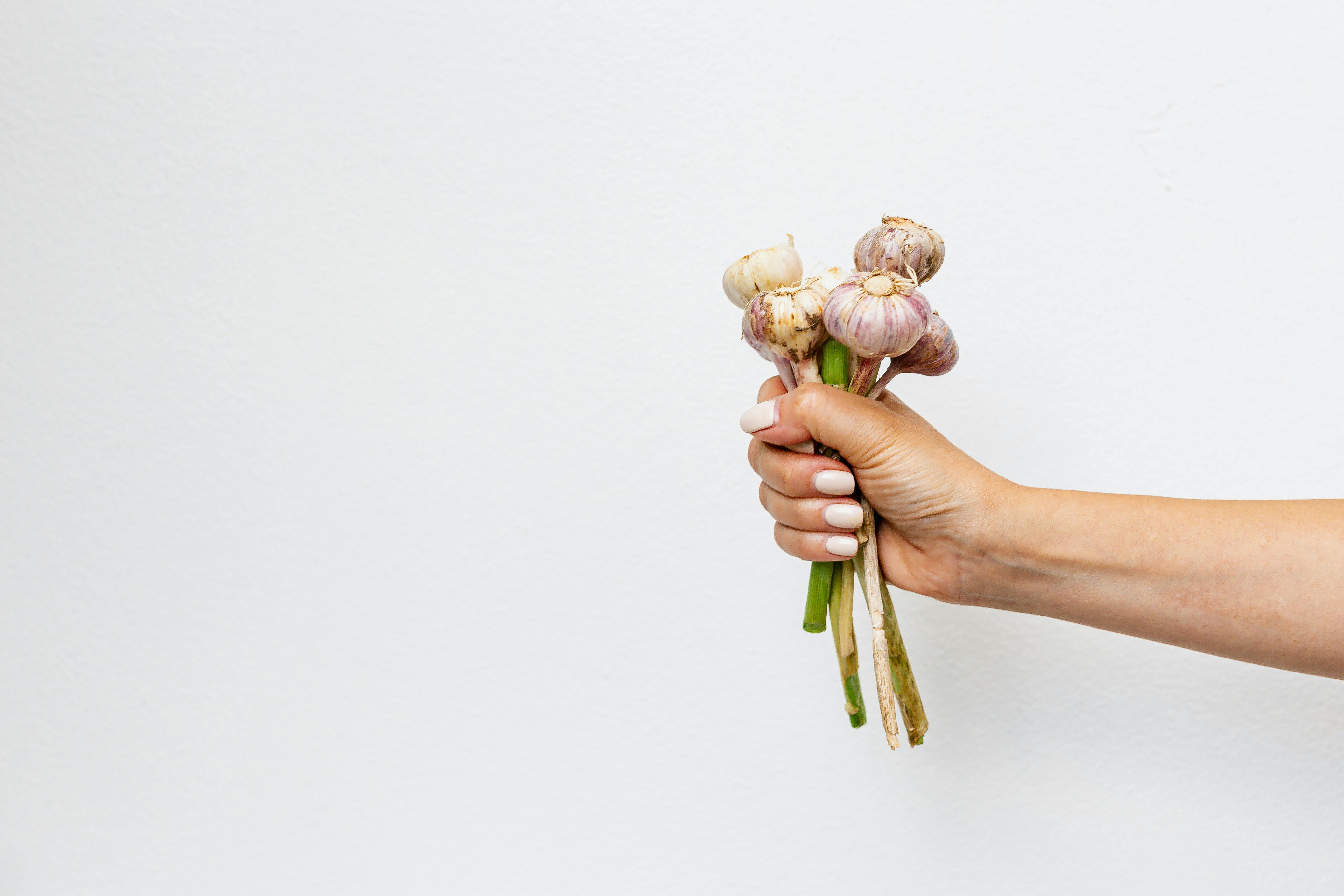 Photo of a Person Holding a Bunch of Garlic · Free Stock Photo