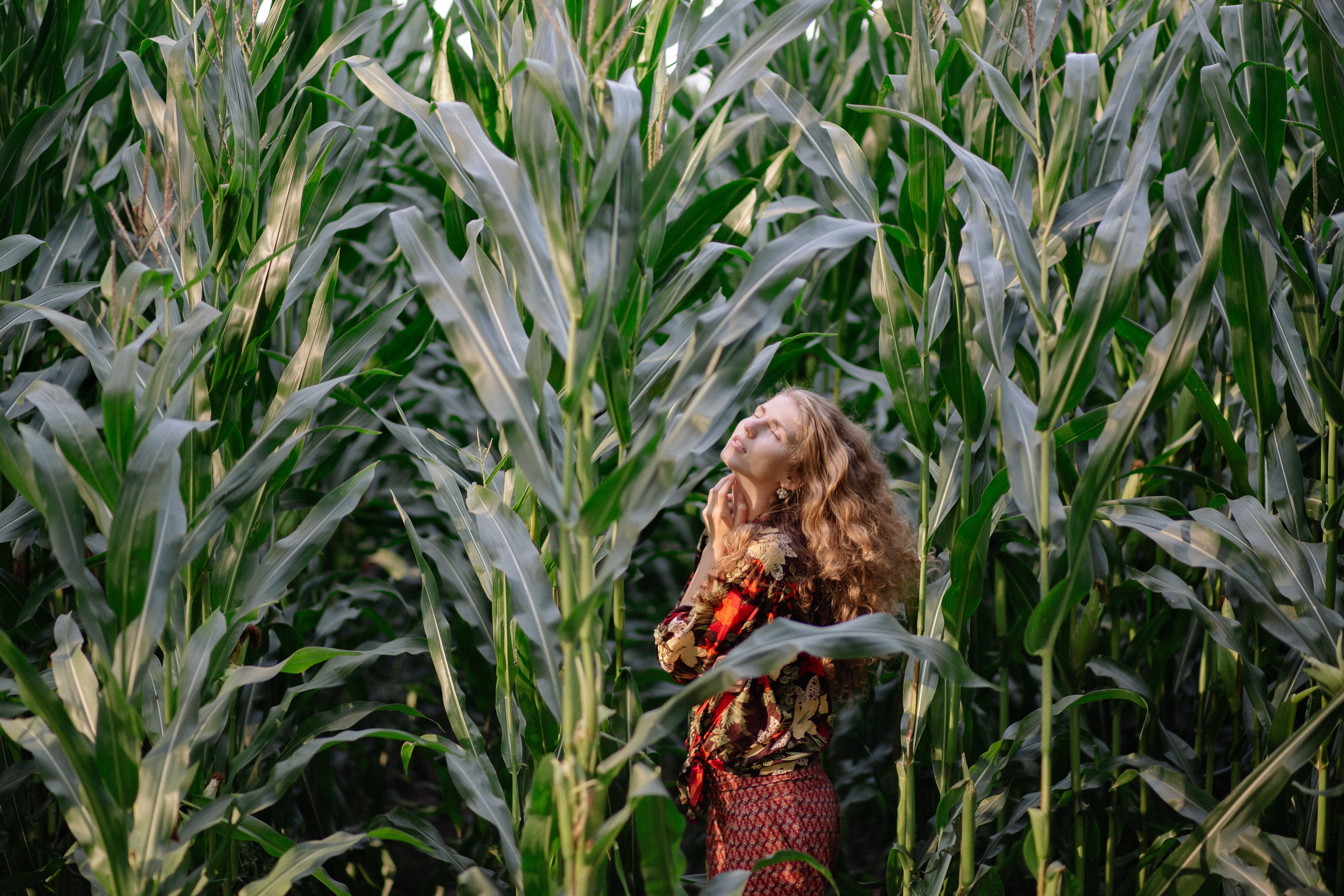 Woman in Corn Field · Free Stock Photo