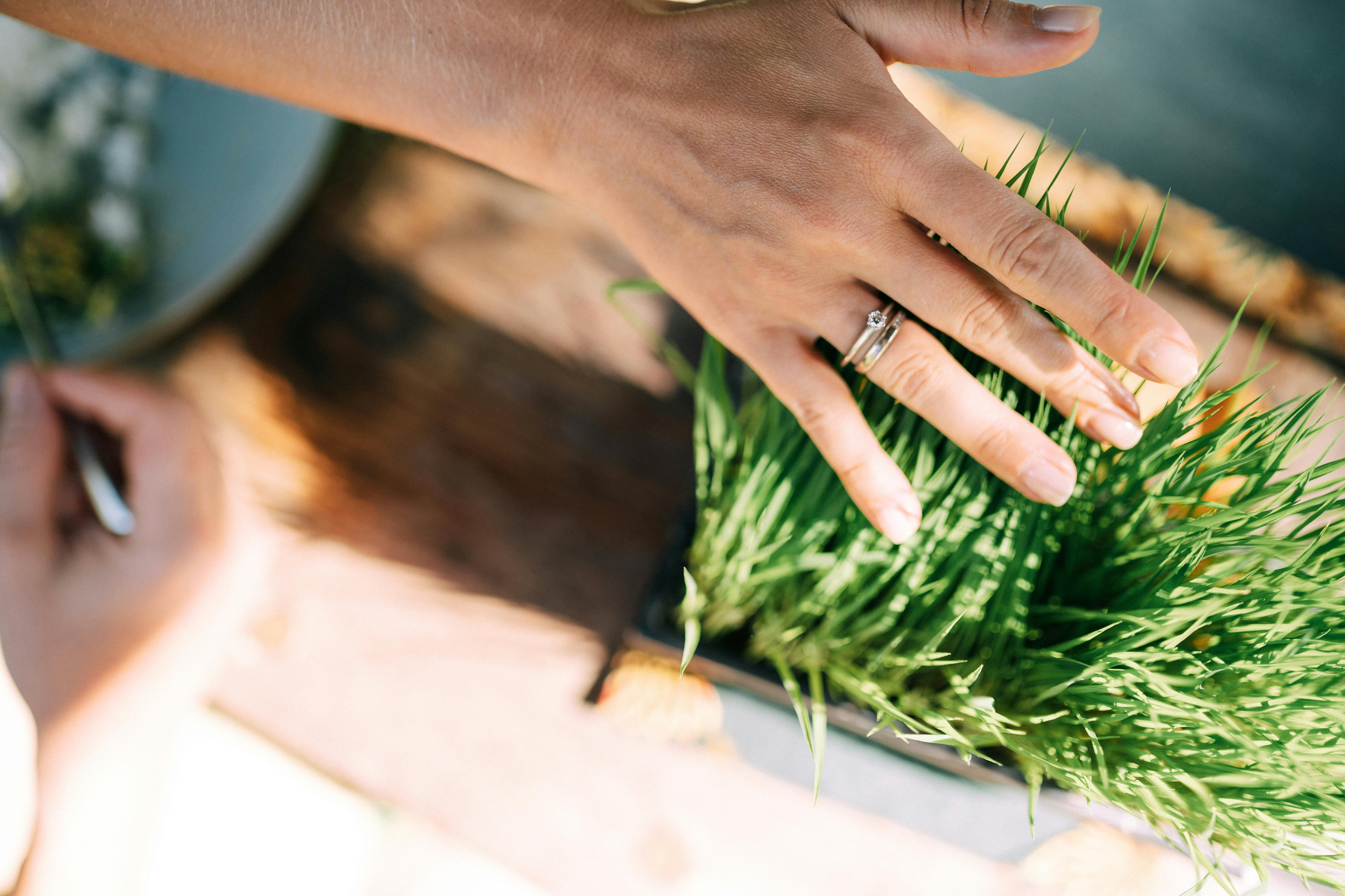 Woman Running Her Hand Through Grass in a Pot Standing on a Table ...