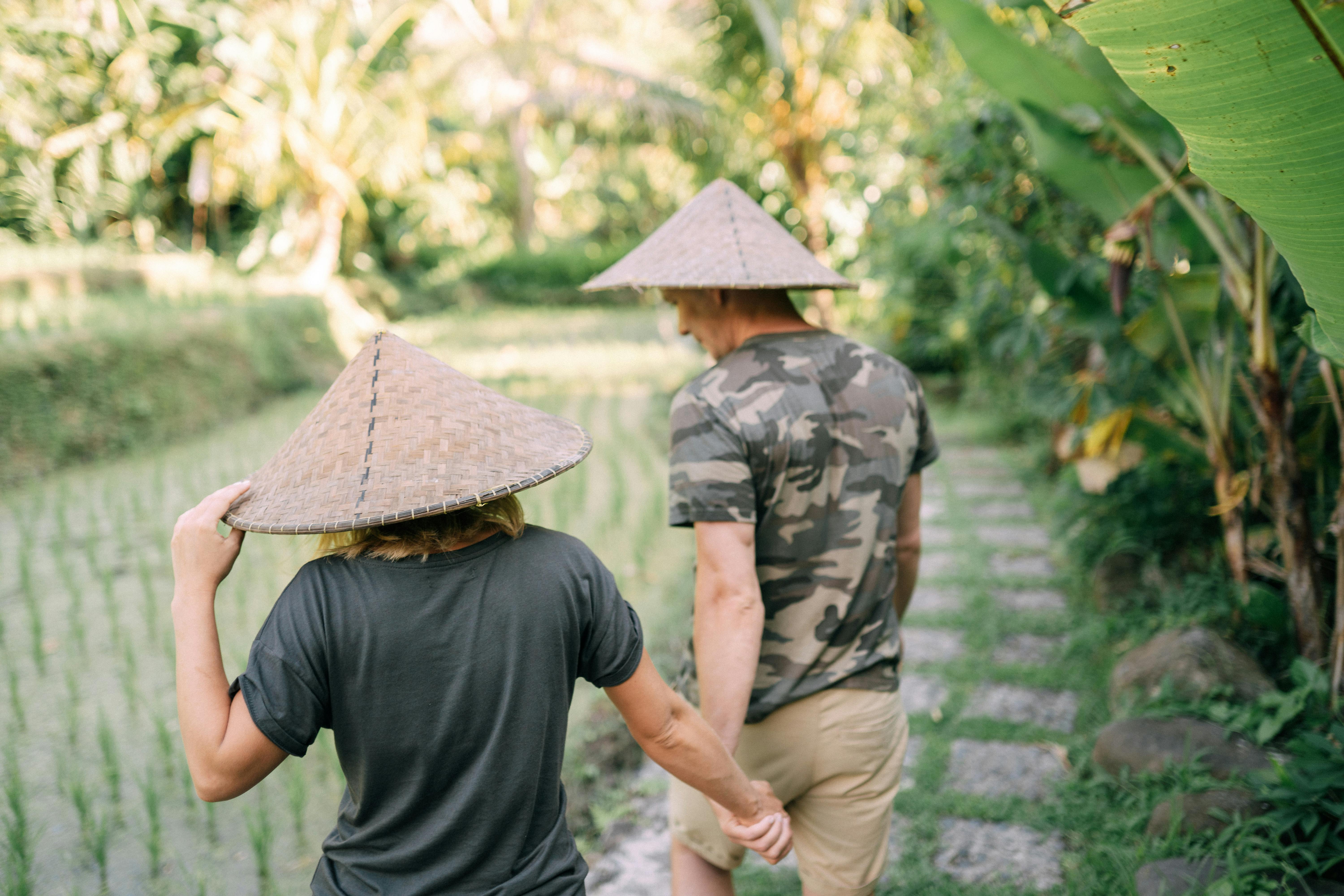 Paddy Field Photos, Download The BEST Free Paddy Field Stock Photos ...