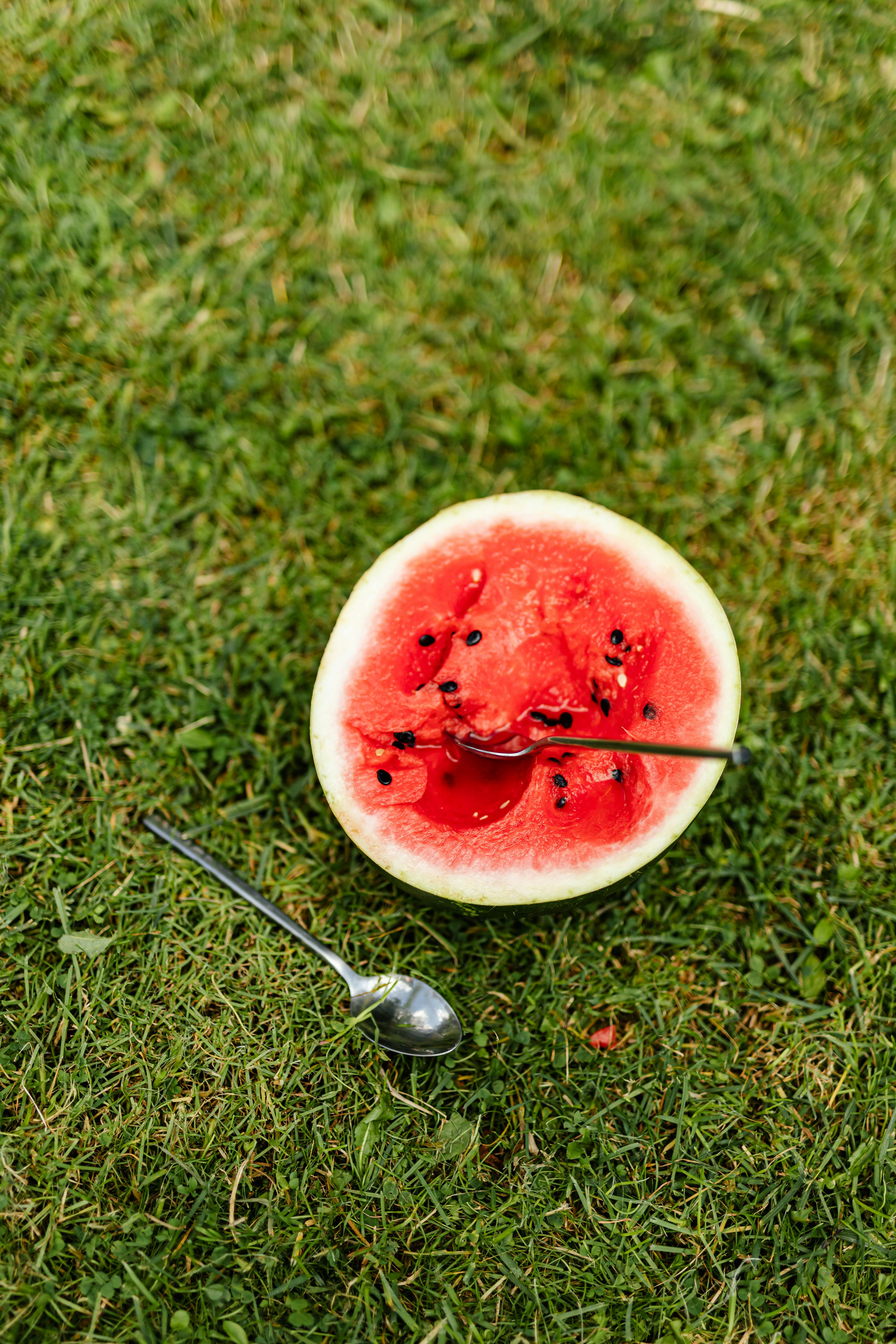 600+ Best Watermelon Photos · 100% Free Download · Pexels Stock Photos