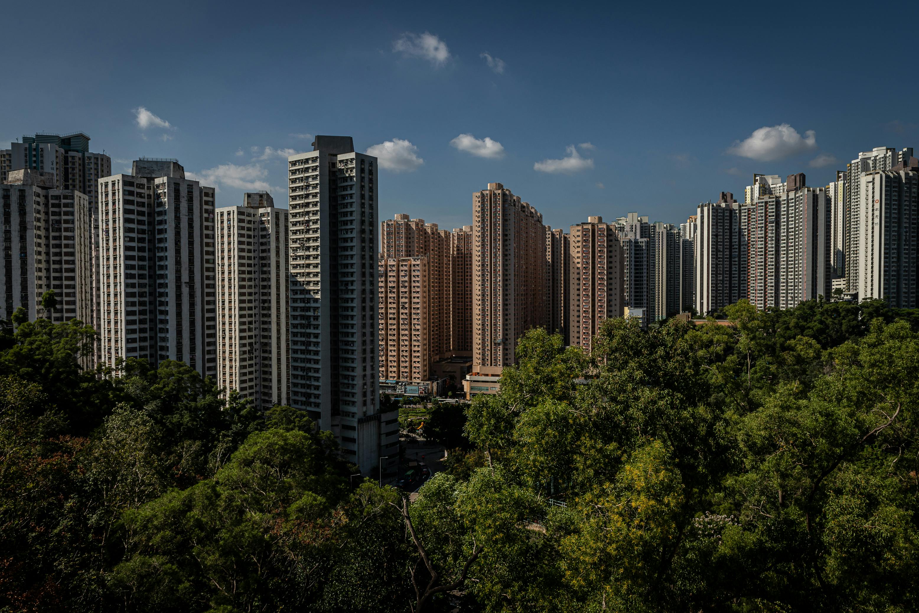 Trees Near Tall Buildings · Free Stock Photo