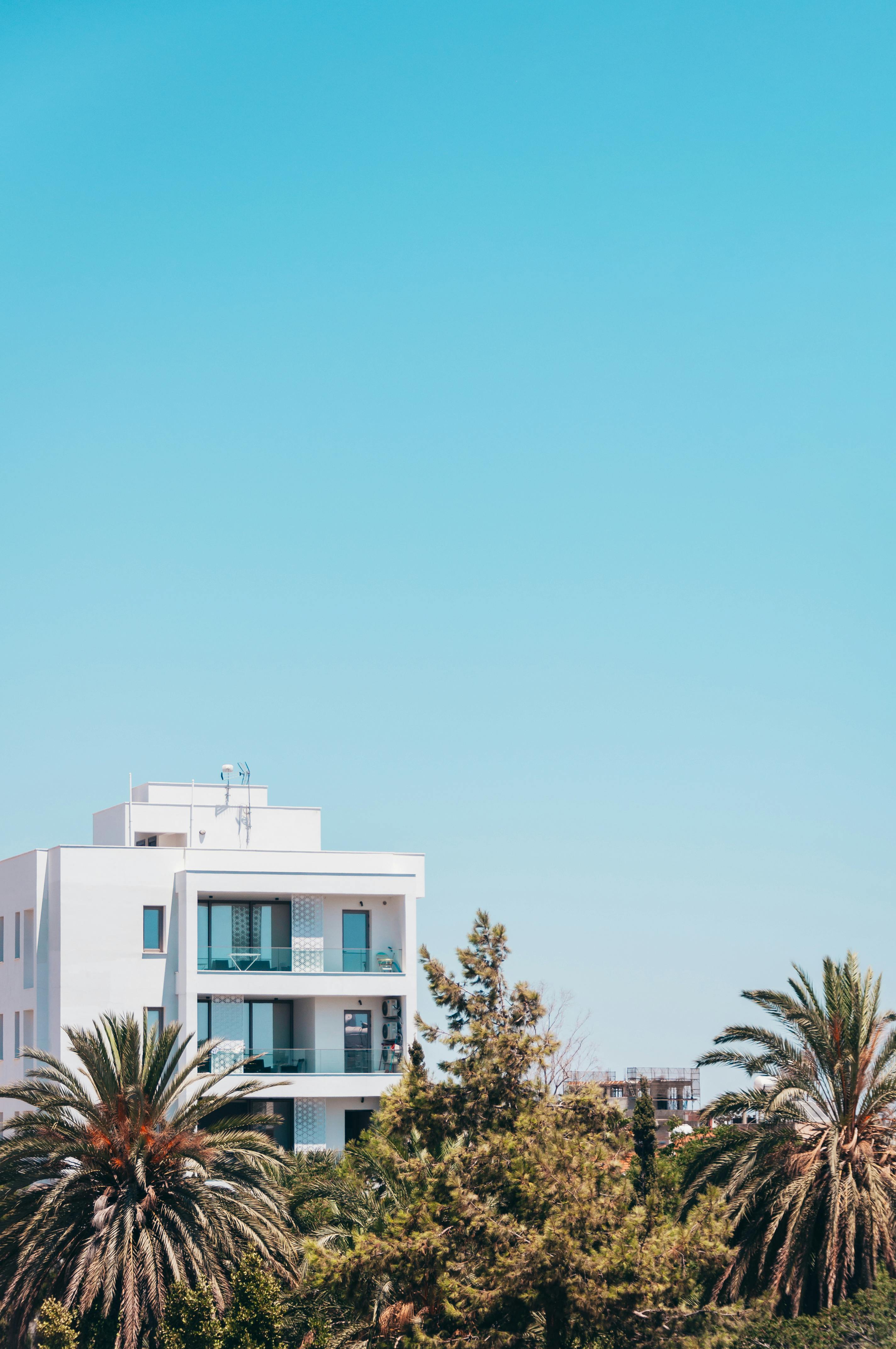 Buildings Near Tall Trees · Free Stock Photo