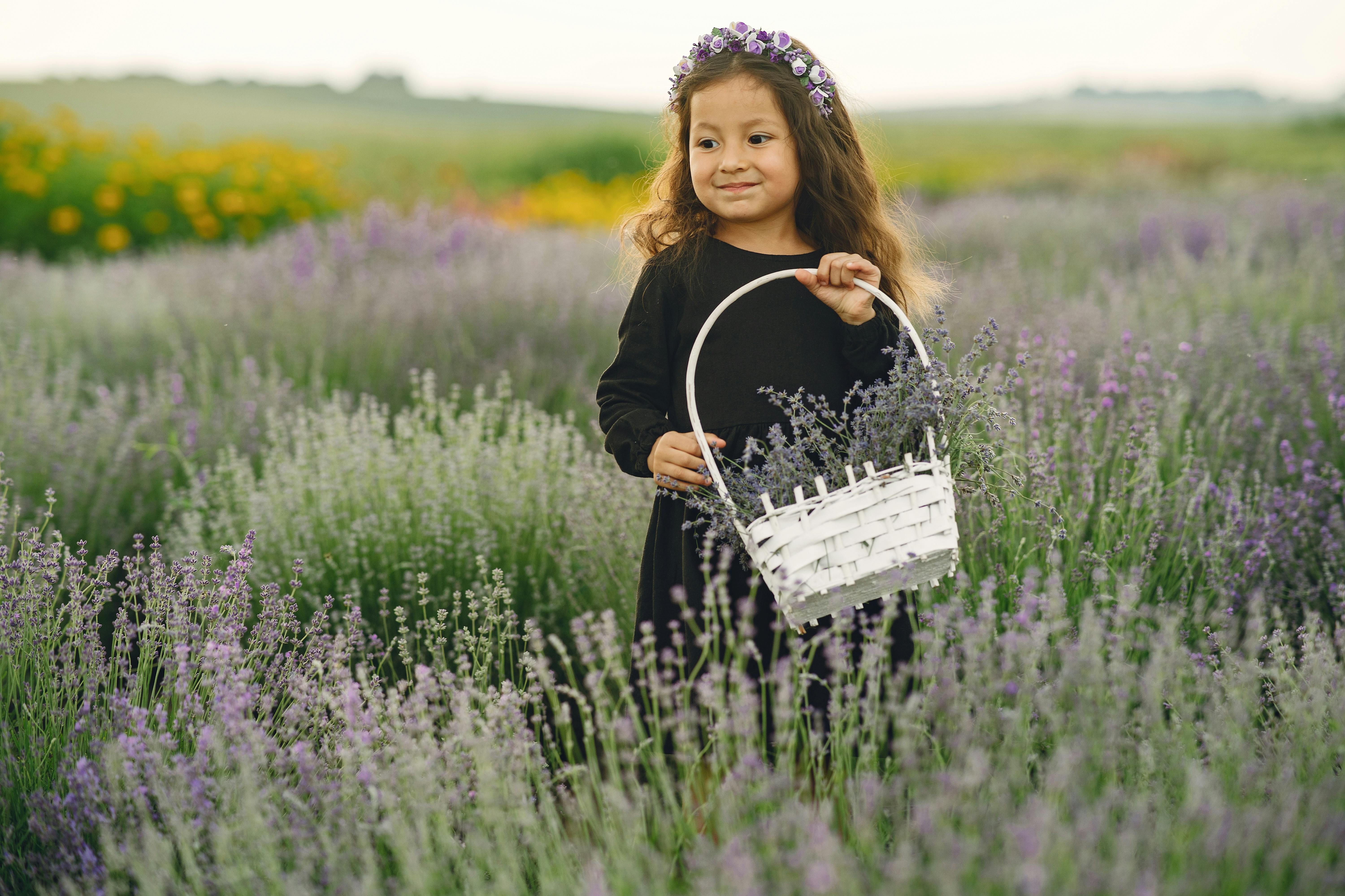 A Cute Girl in a Flower Field · Free Stock Photo