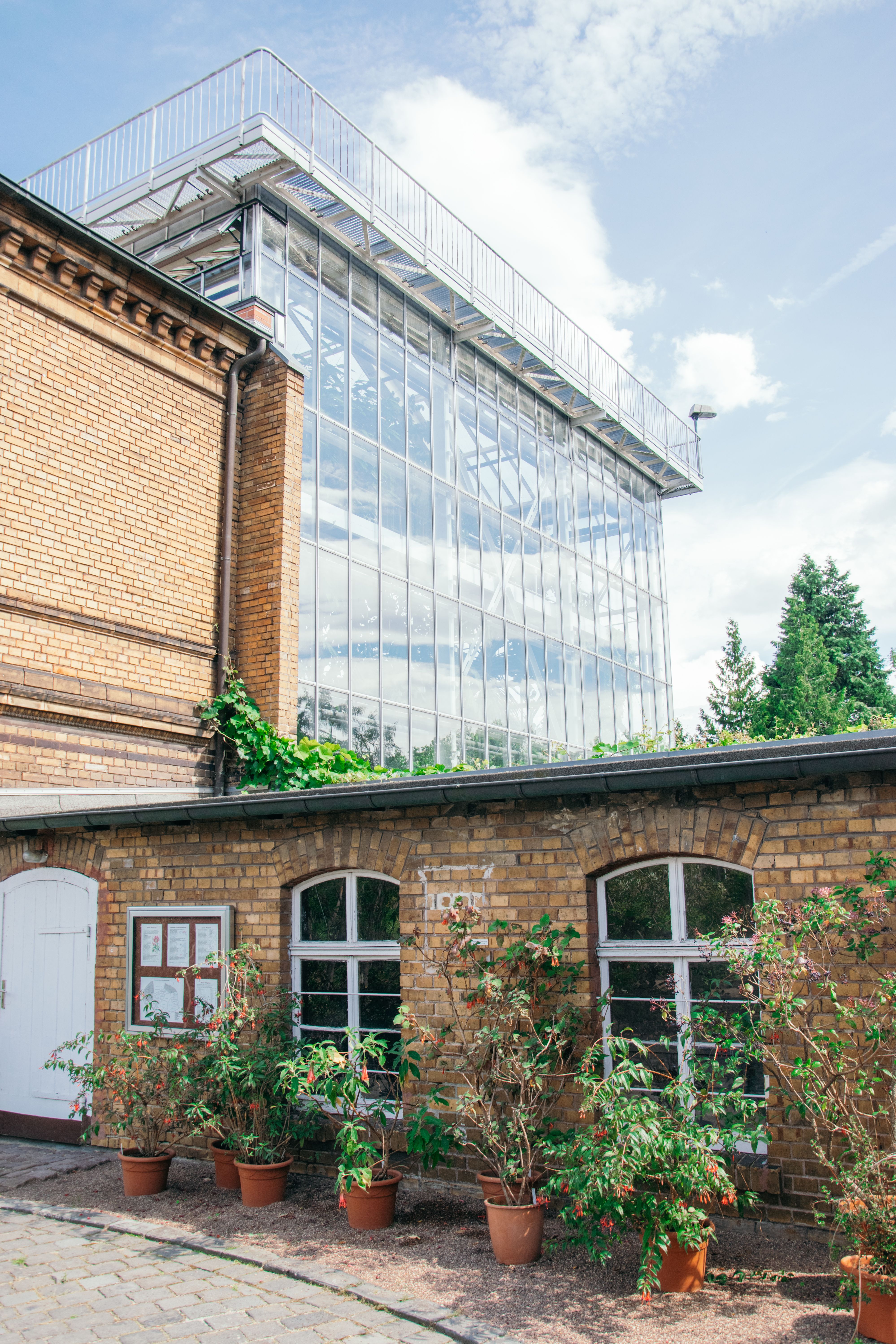Potted Plants Decorating Building · Free Stock Photo