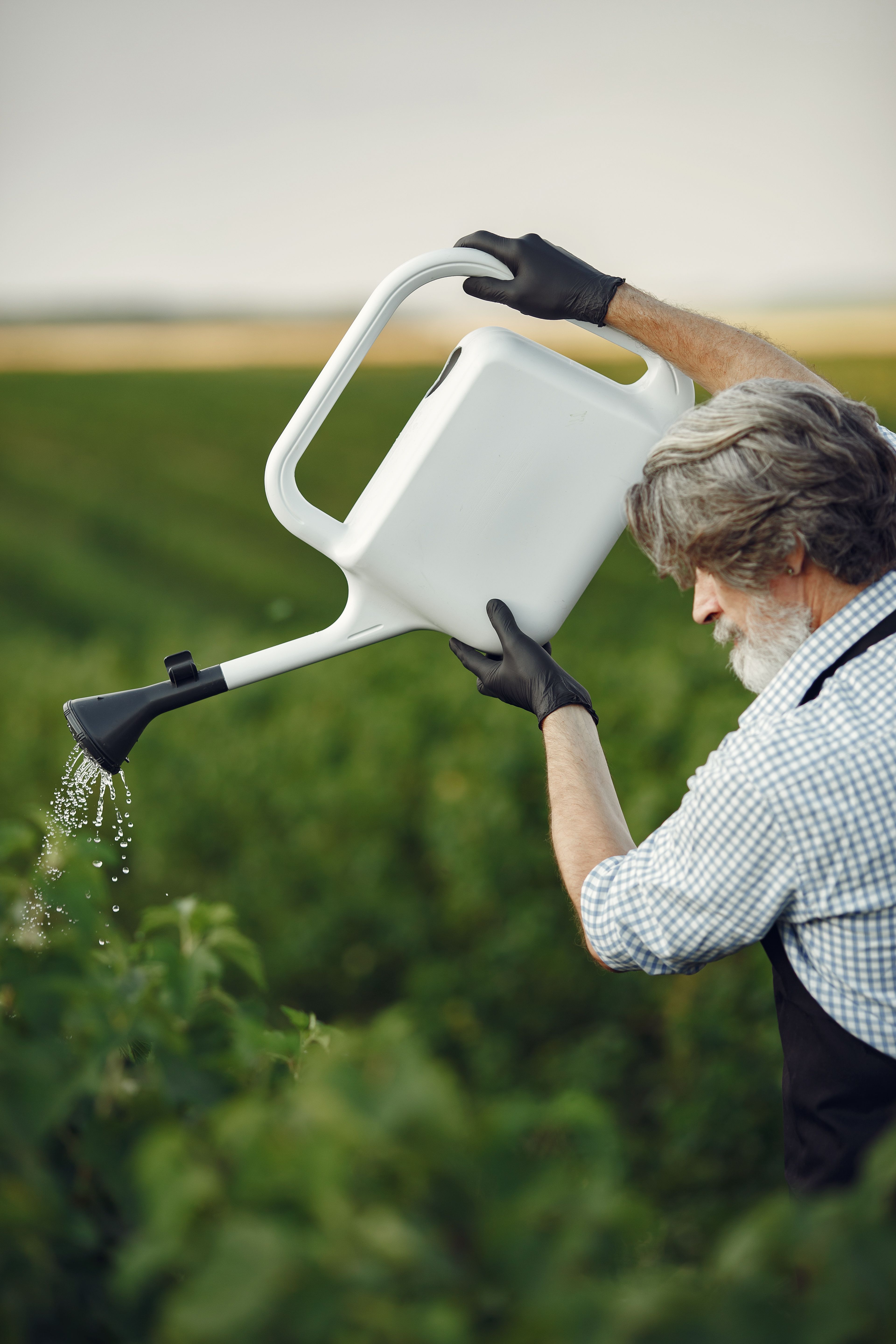 Man Watering Plants on Field · Free Stock Photo
