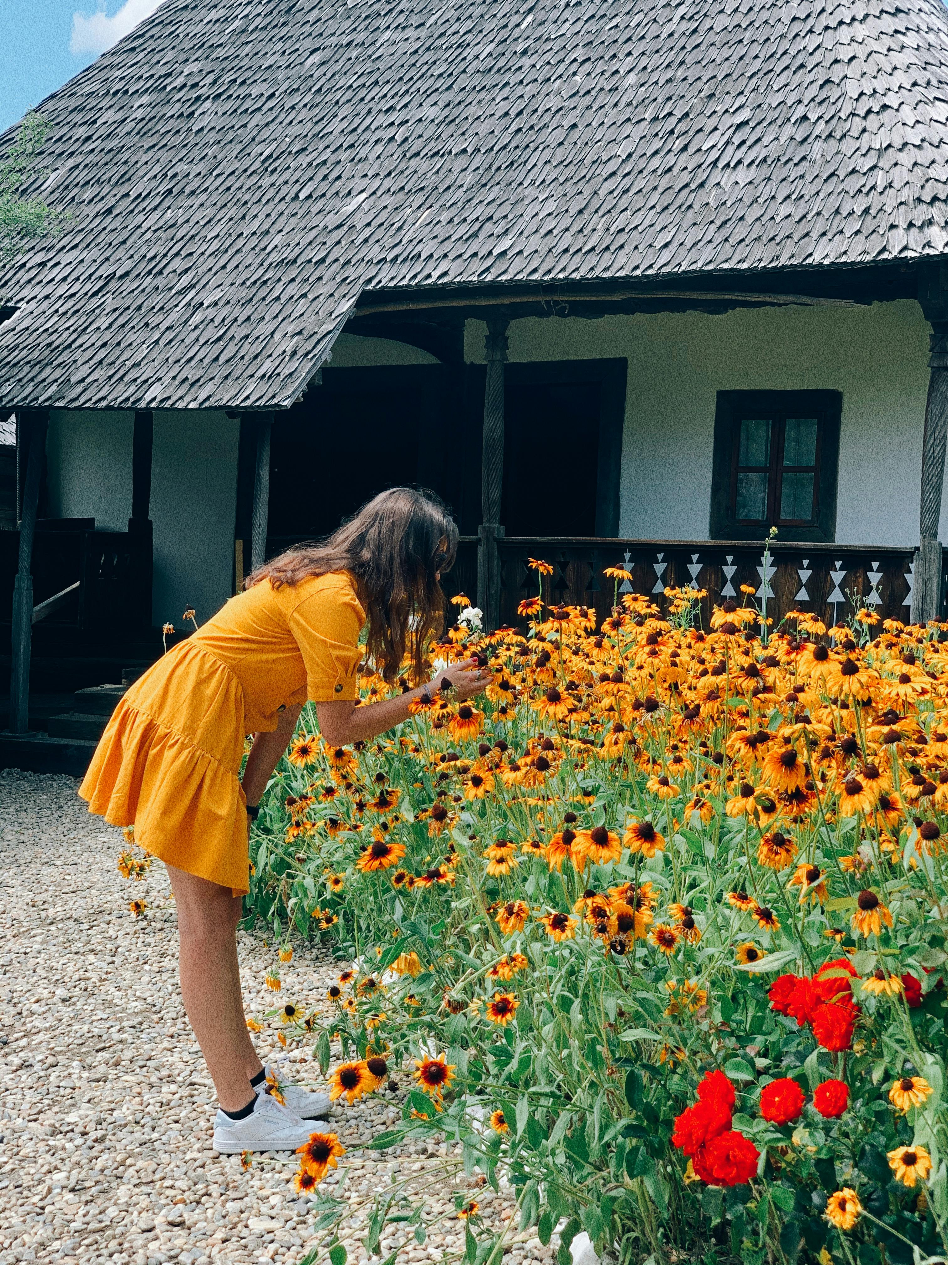 Foto stok gratis tentang alam, argumen, arsitektur sejarah, arsitektur ...