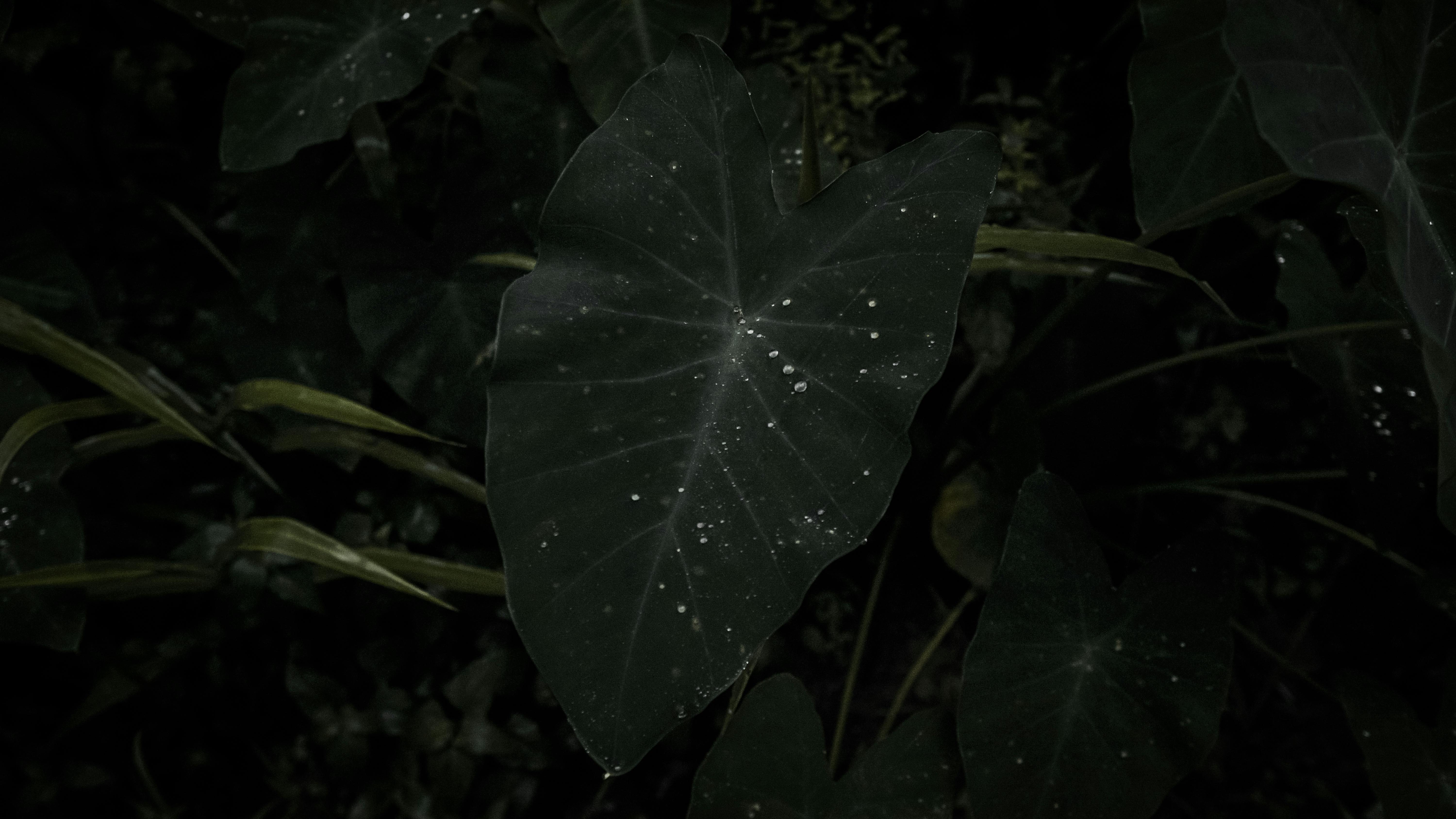 Matt Hatchett - Photography