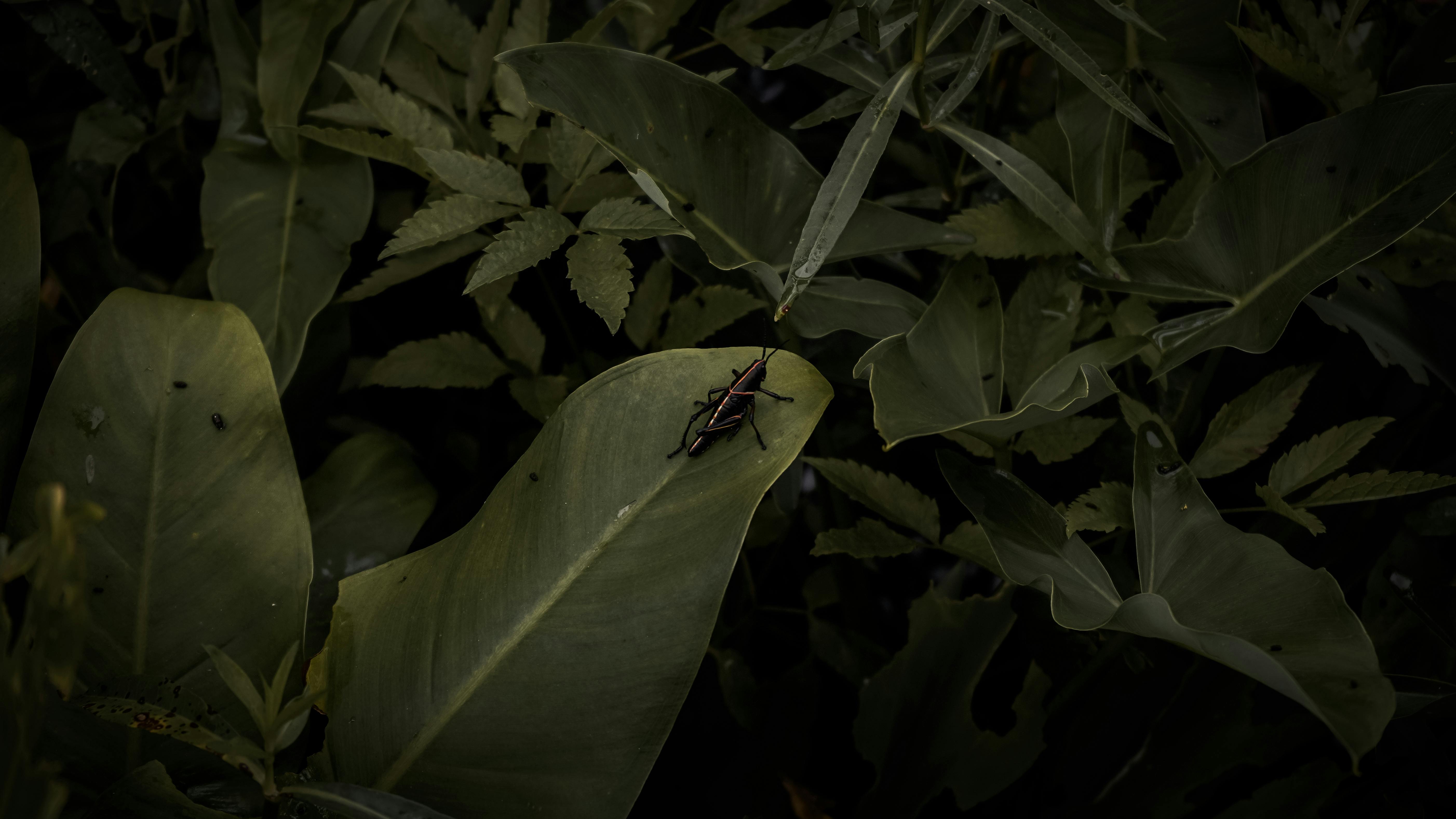 Matt Hatchett - Photography