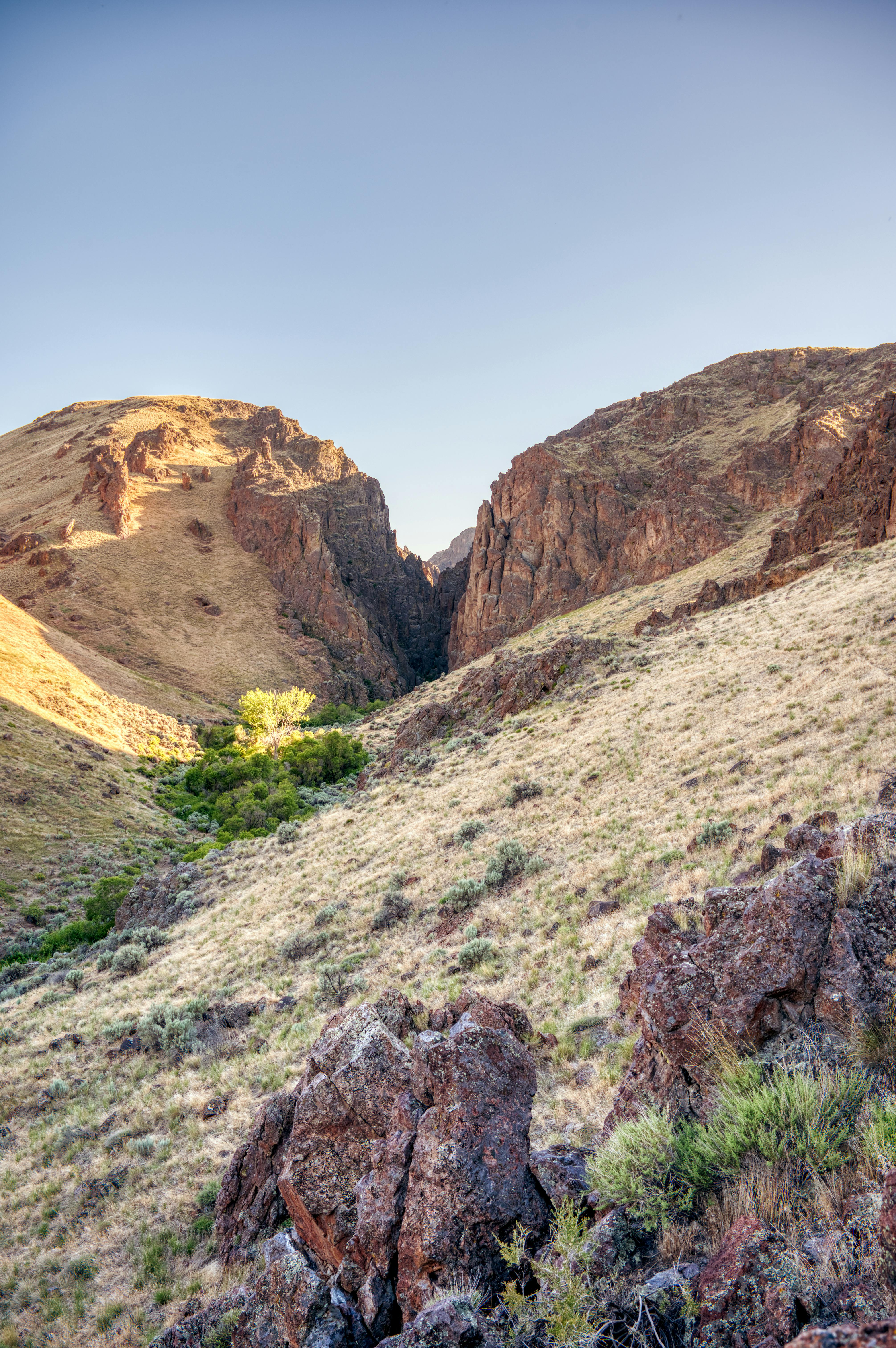 Ridge near growing tree under serene sky · Free Stock Photo