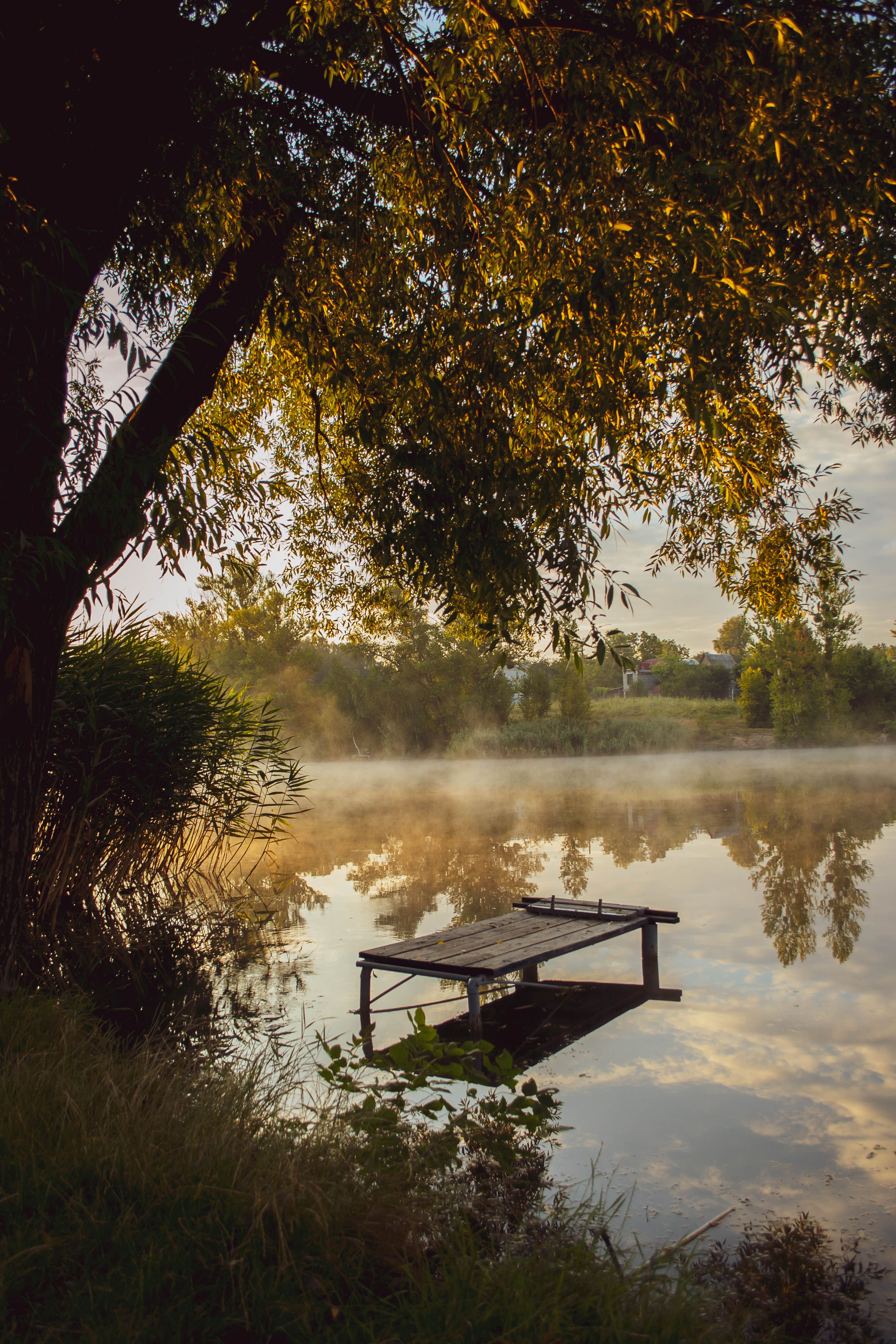 A Wooden Platform over the Lake · Free Stock Photo