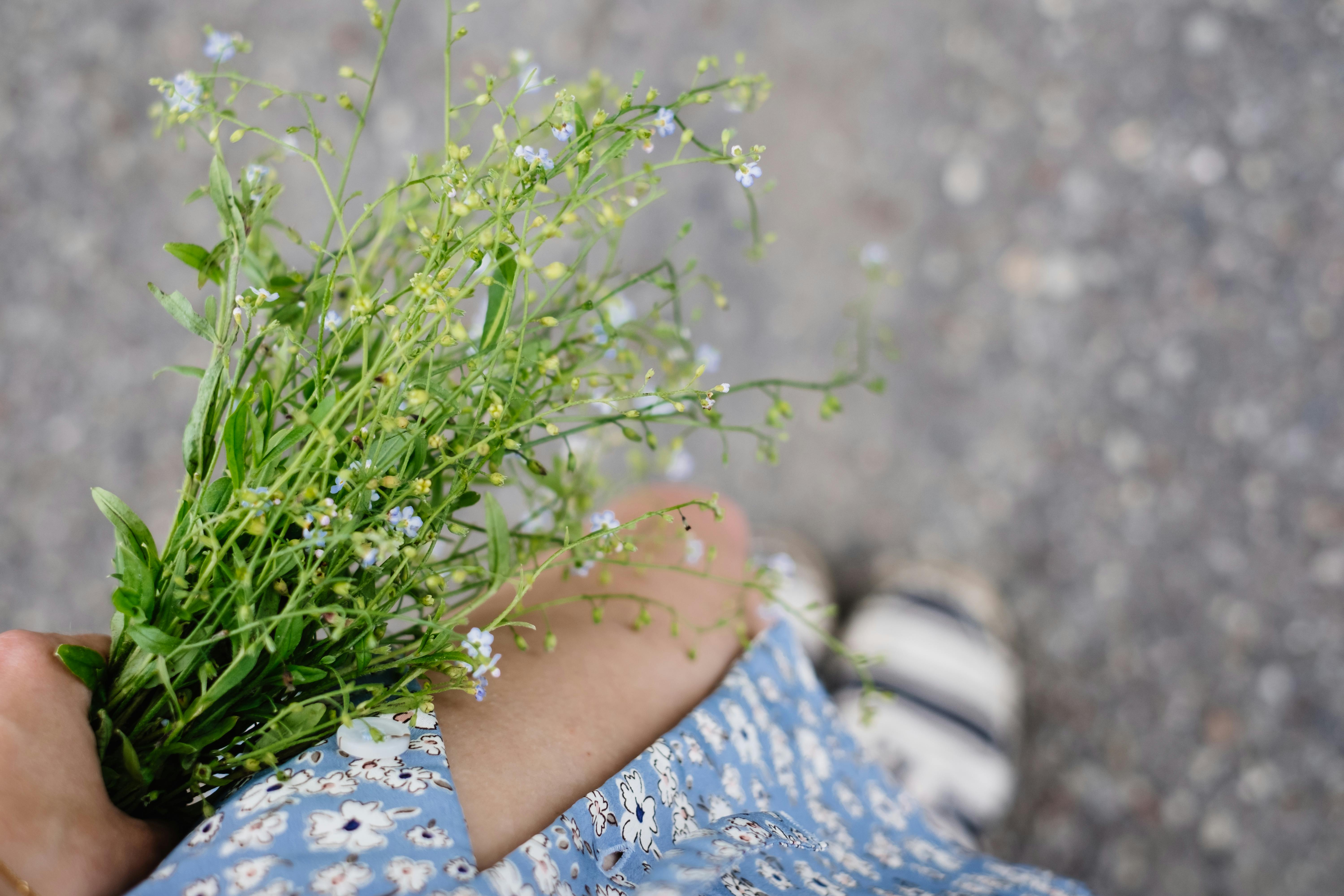 Close up of Hand Holding Bundle of Flowers · Free Stock Photo