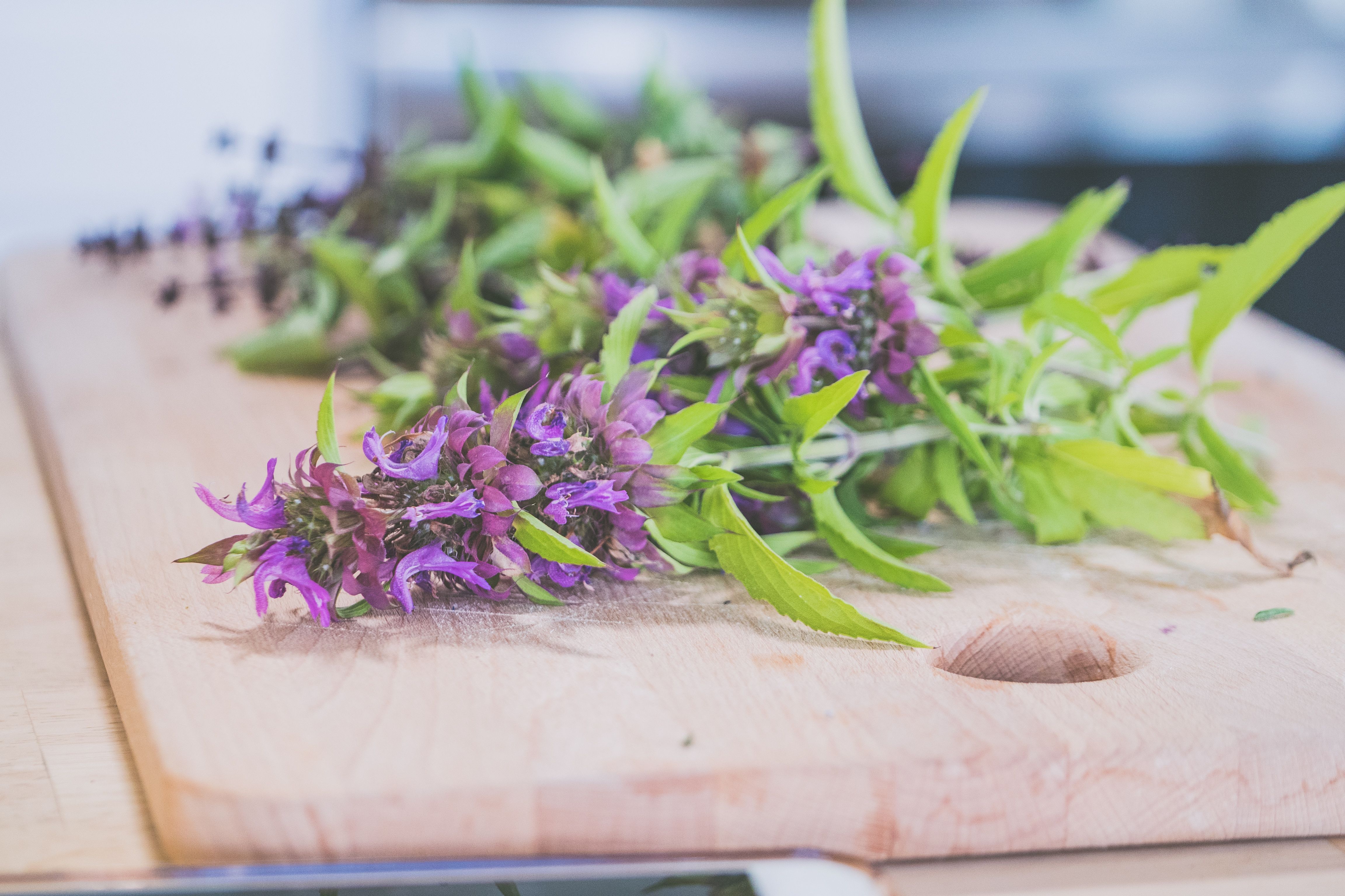 Flowers Lying on a Table · Free Stock Photo