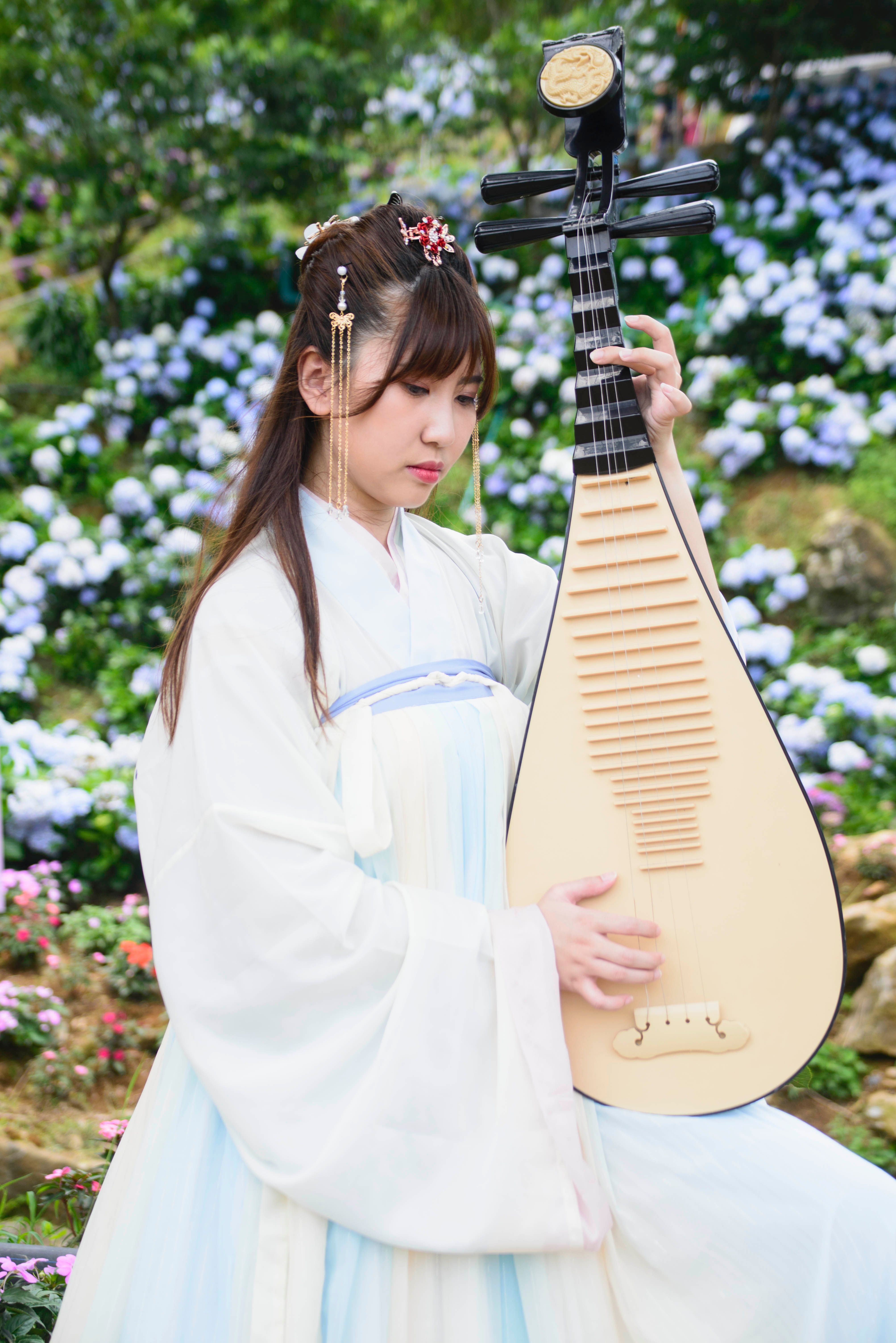 Lute Photos, Download The BEST Free Lute Stock Photos & HD Images