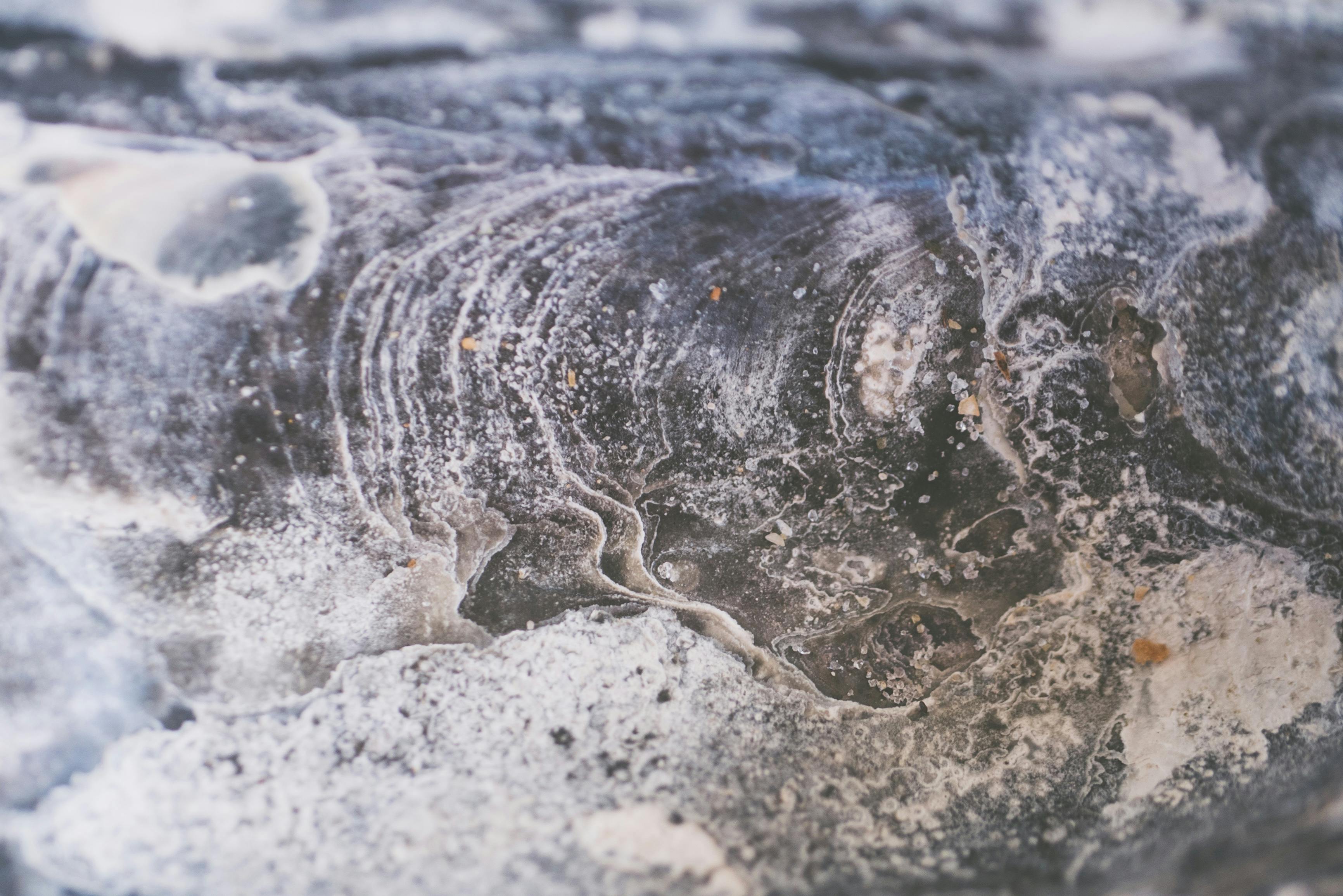 Two Ice Cubes · Free Stock Photo