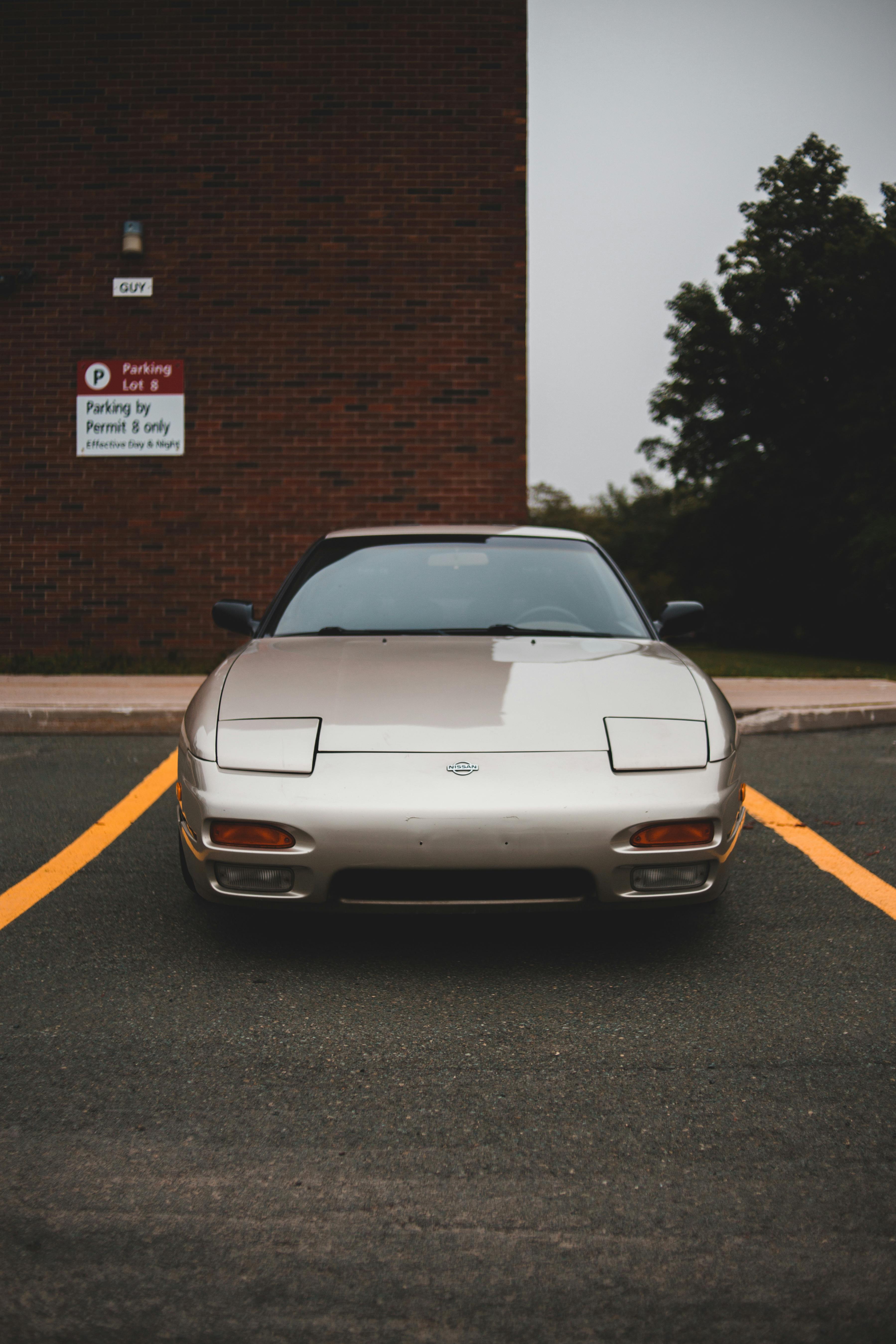 Terrific Photos, Download The BEST Free Terrific Stock Photos & HD Images