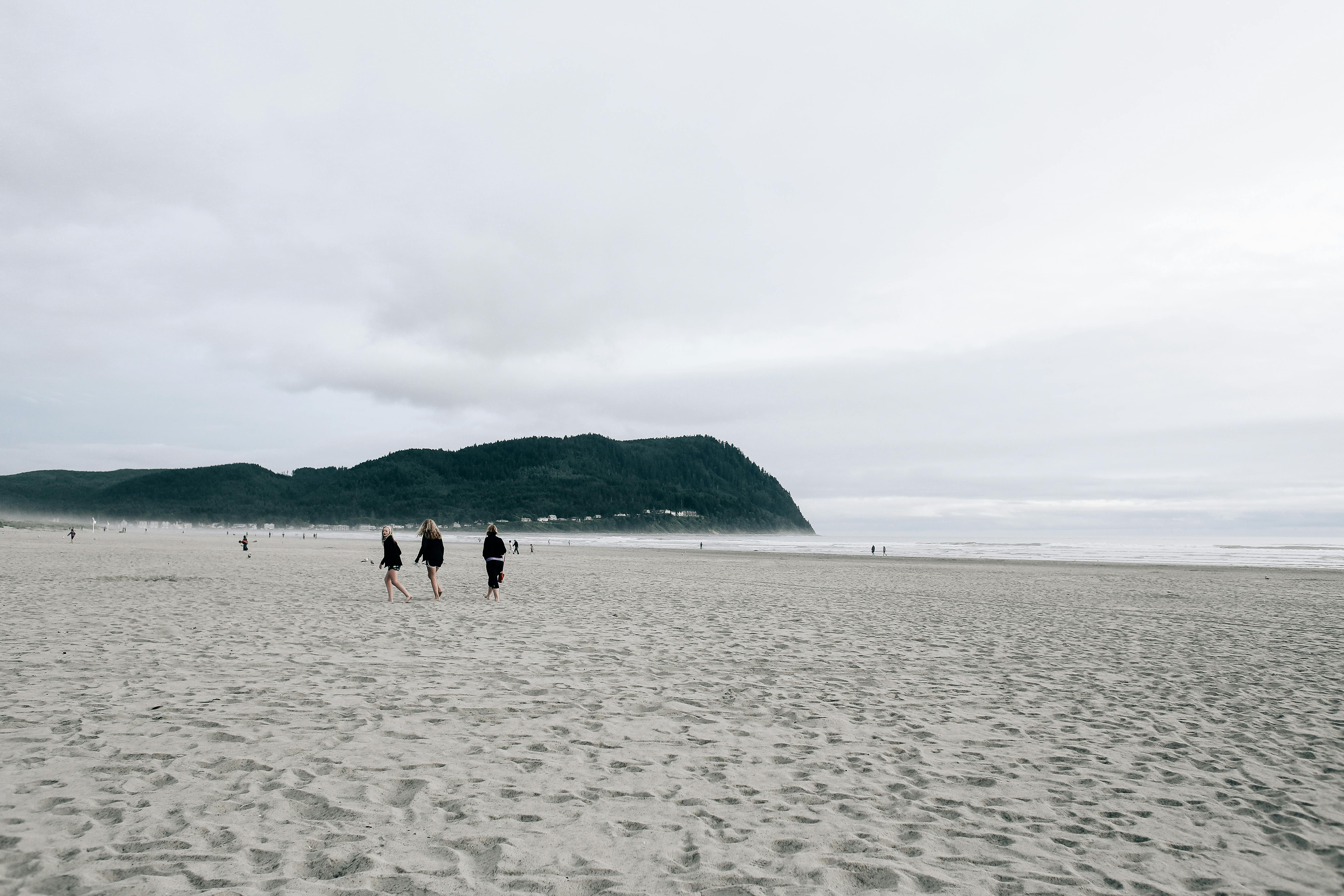 People walking on sandy beach · Free Stock Photo