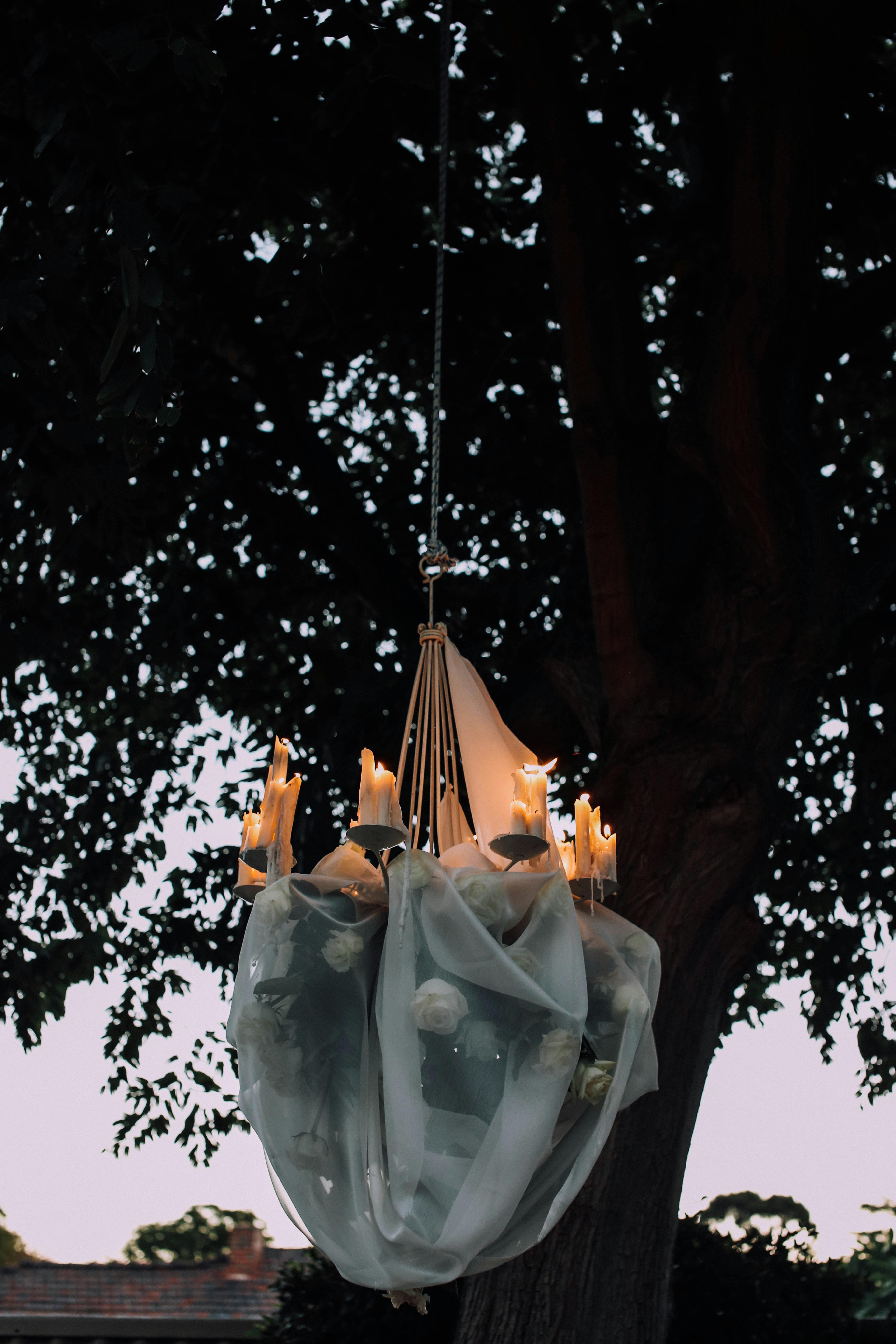Candle chandelier hanging on tree · Free Stock Photo