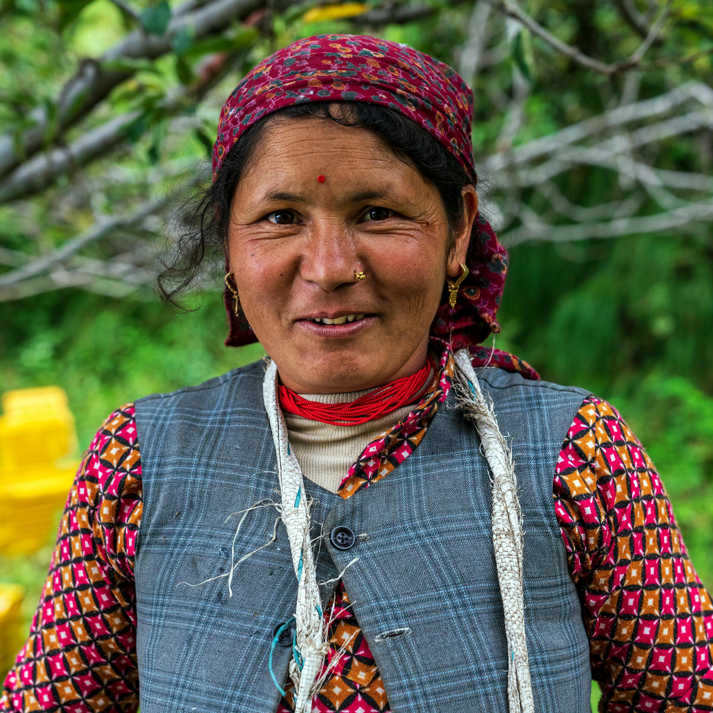 Indian Fields Photos, Download The BEST Free Indian Fields Stock Photos ...