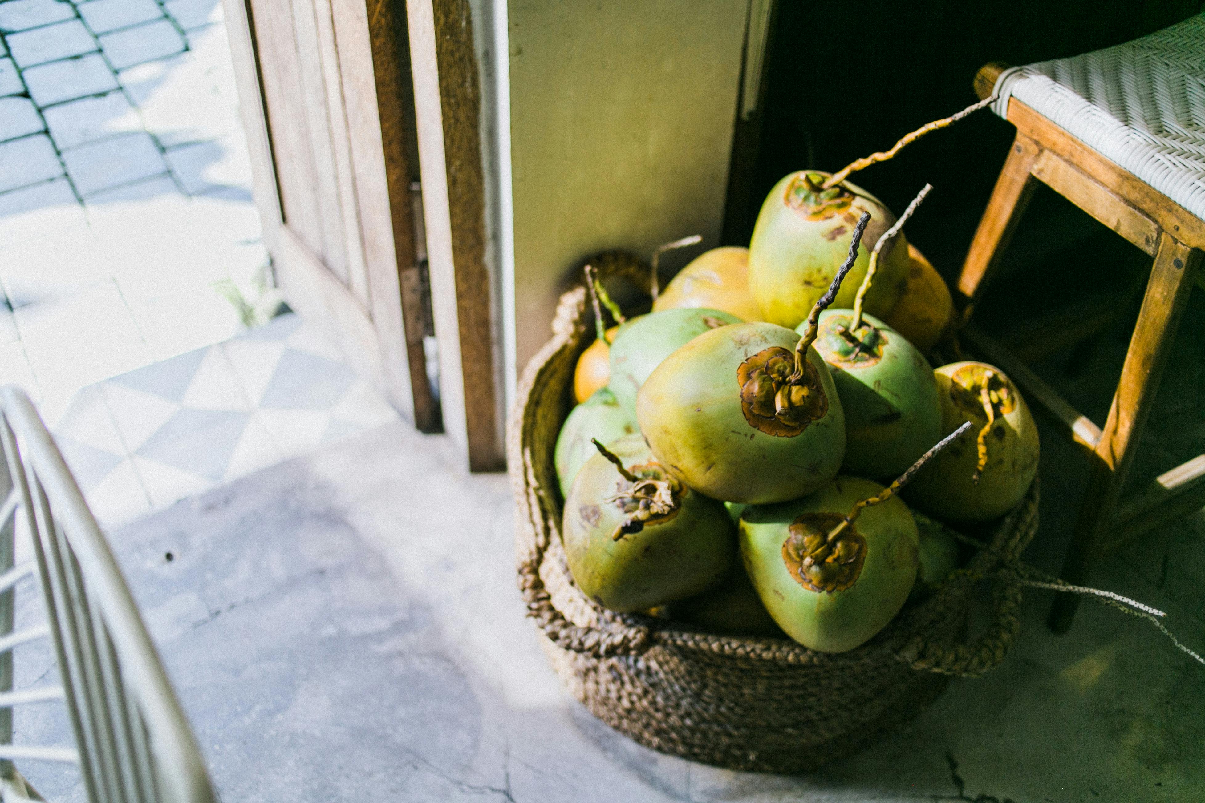 Coconut Farming Photos, Download The BEST Free Coconut Farming Stock ...