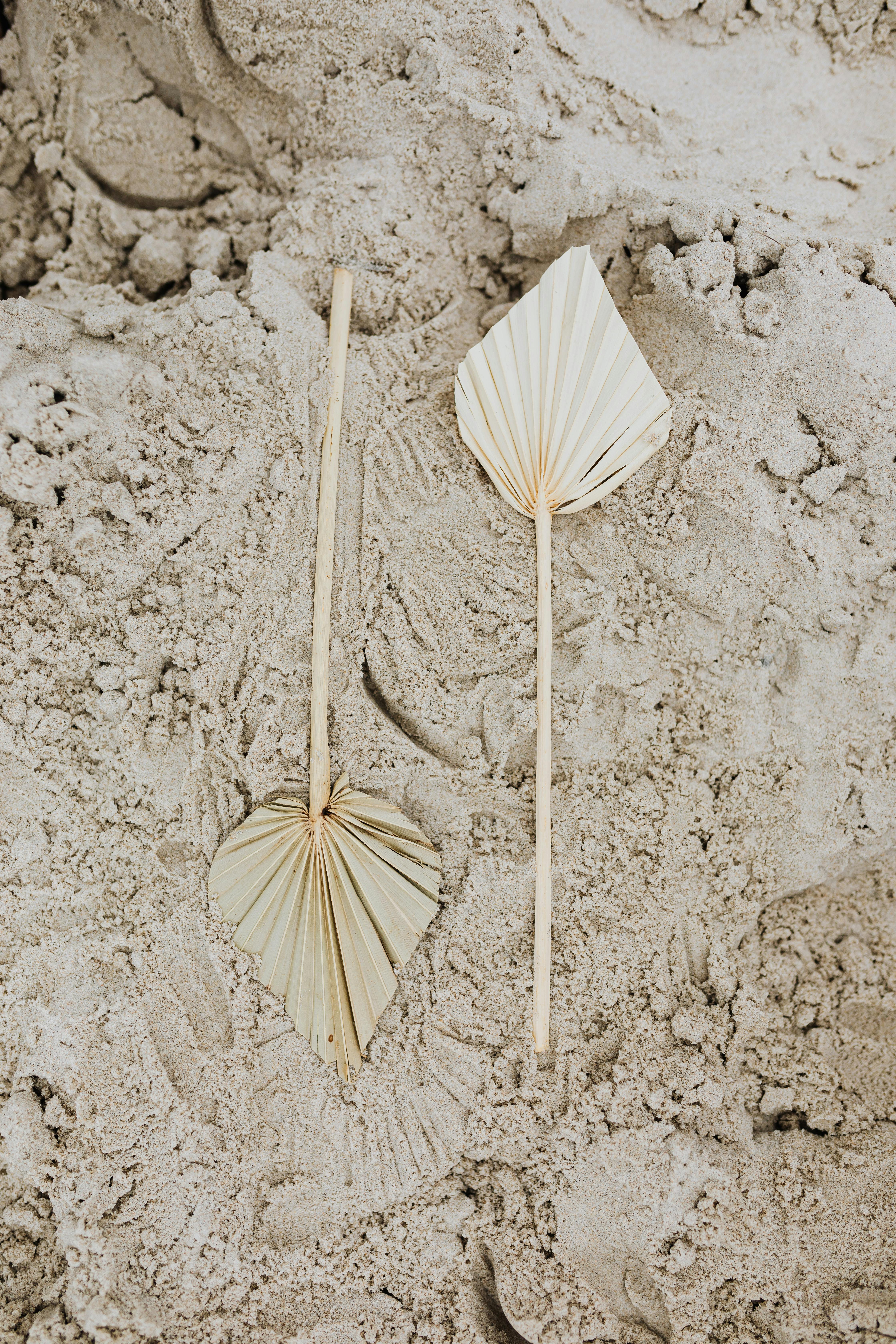 Sandy Paper Photos, Download The BEST Free Sandy Paper Stock Photos ...